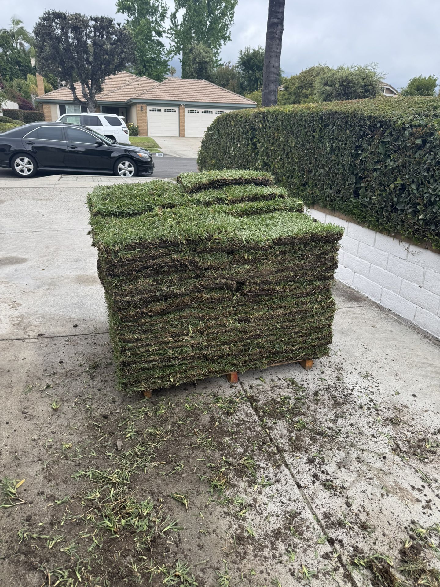Sod St Augustine for Sale in Upland, CA - OfferUp