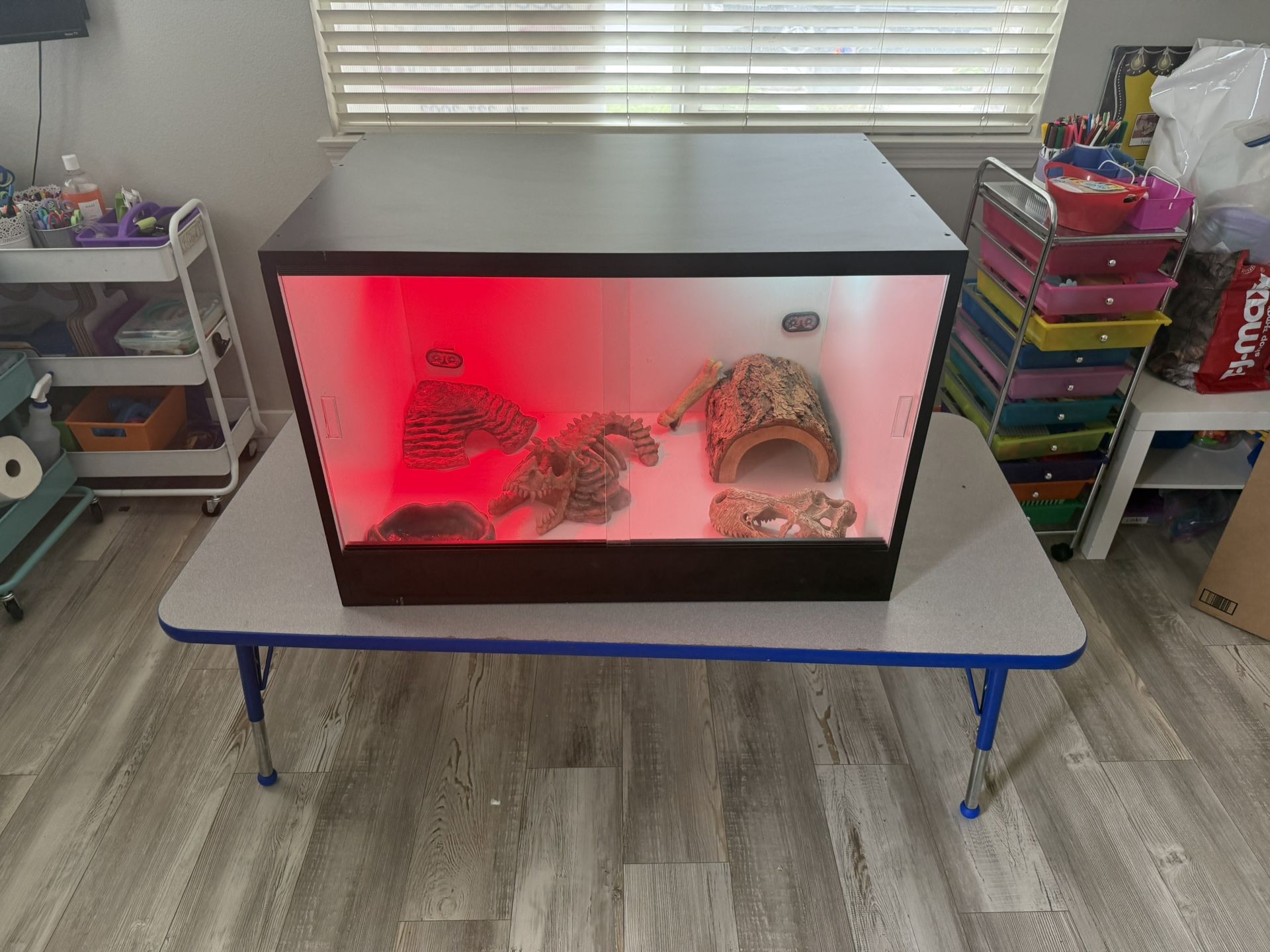 Custom Lizard Tank for Sale in Corona, CA - OfferUp