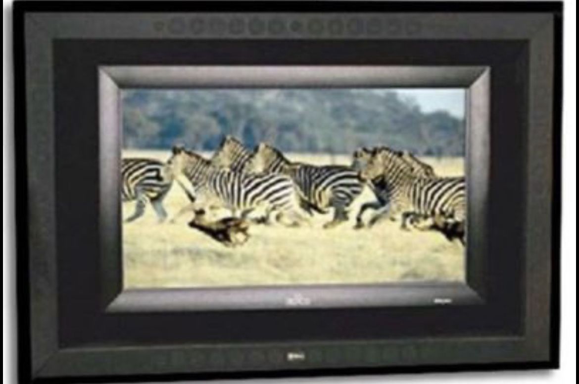 Surround Sound Picture Frame invisisound 3000 by Monster Cable (M ...