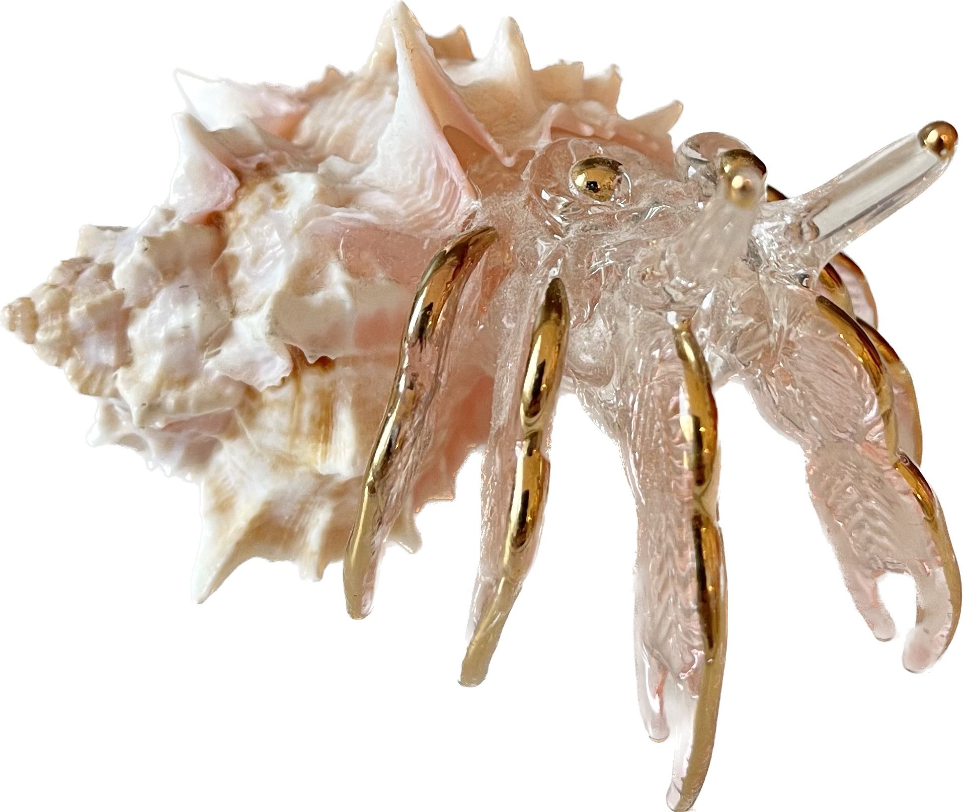 Glass Hermit Crab Shells