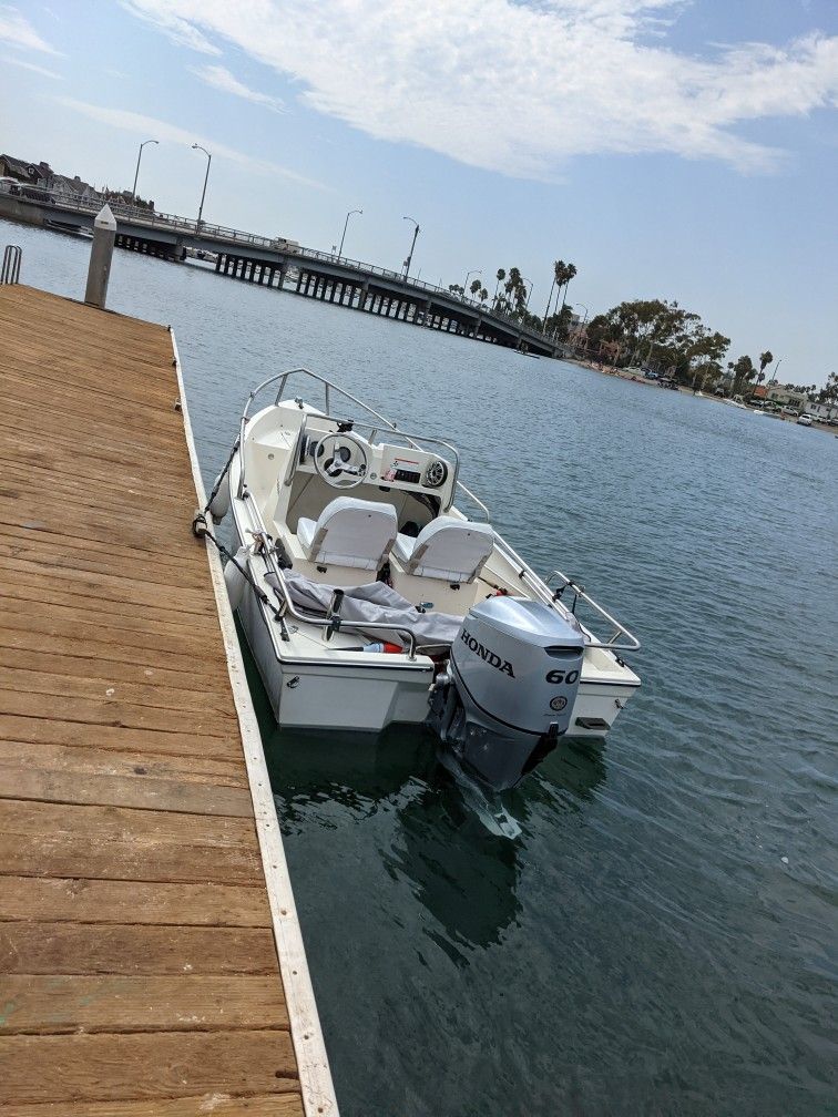 15 ft Center Console Boat Skiff Unsinkable Calibogie Hobie Power for ...