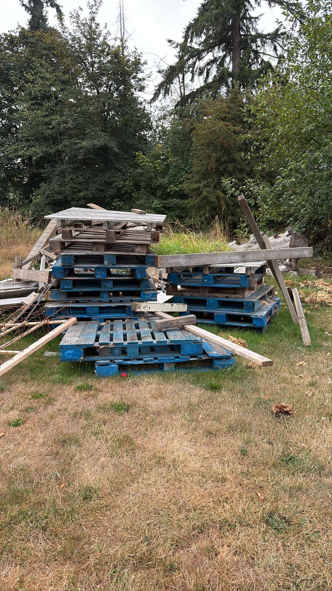 Free Pallets for Sale in Tacoma, WA - OfferUp