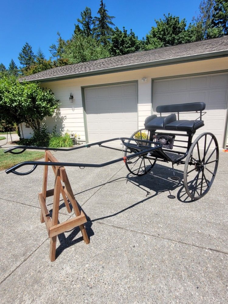 Frey Carriage Company "Sprint" Cart for Sale in Tumwater, WA - OfferUp