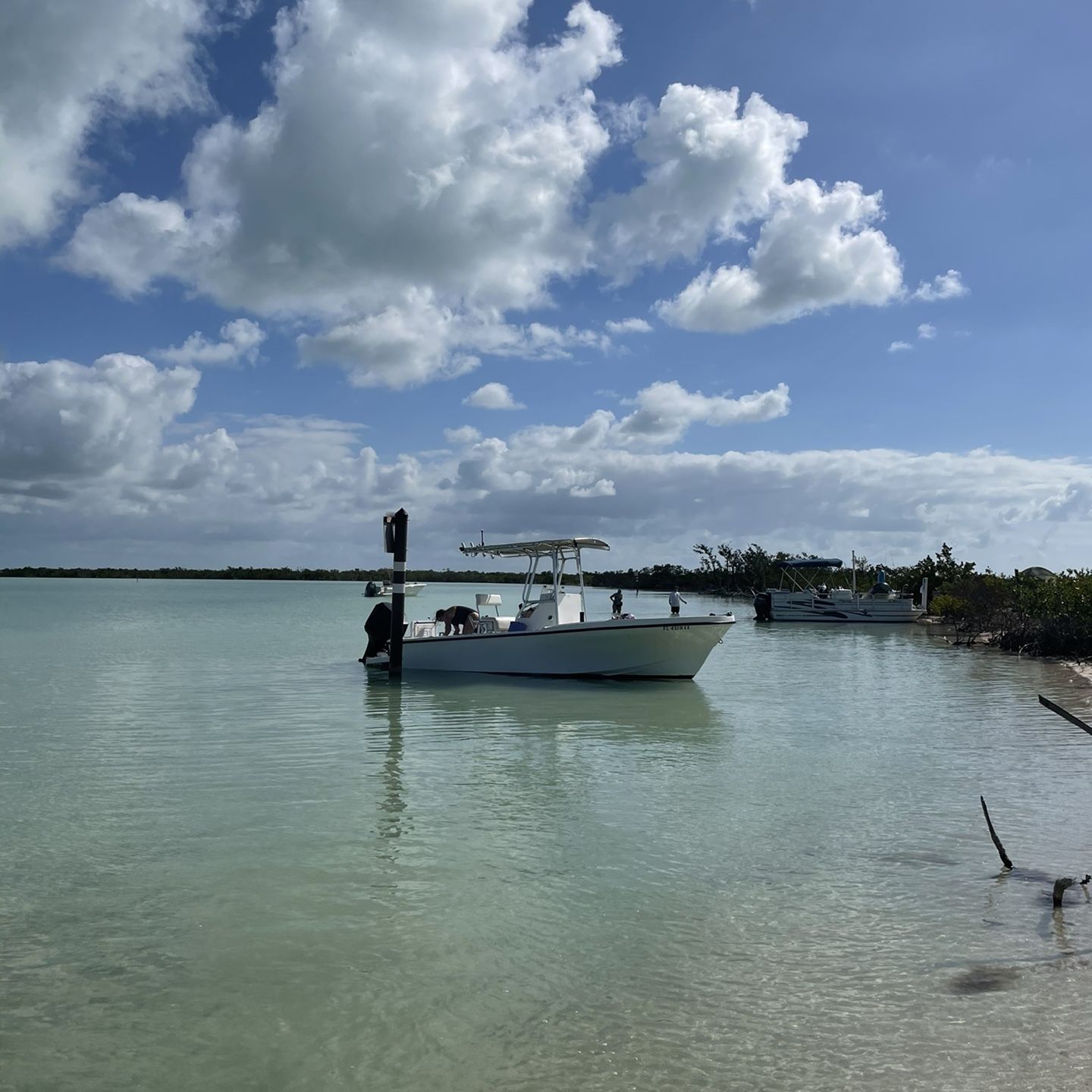 Dusky 256 For Sale - ZeBoats