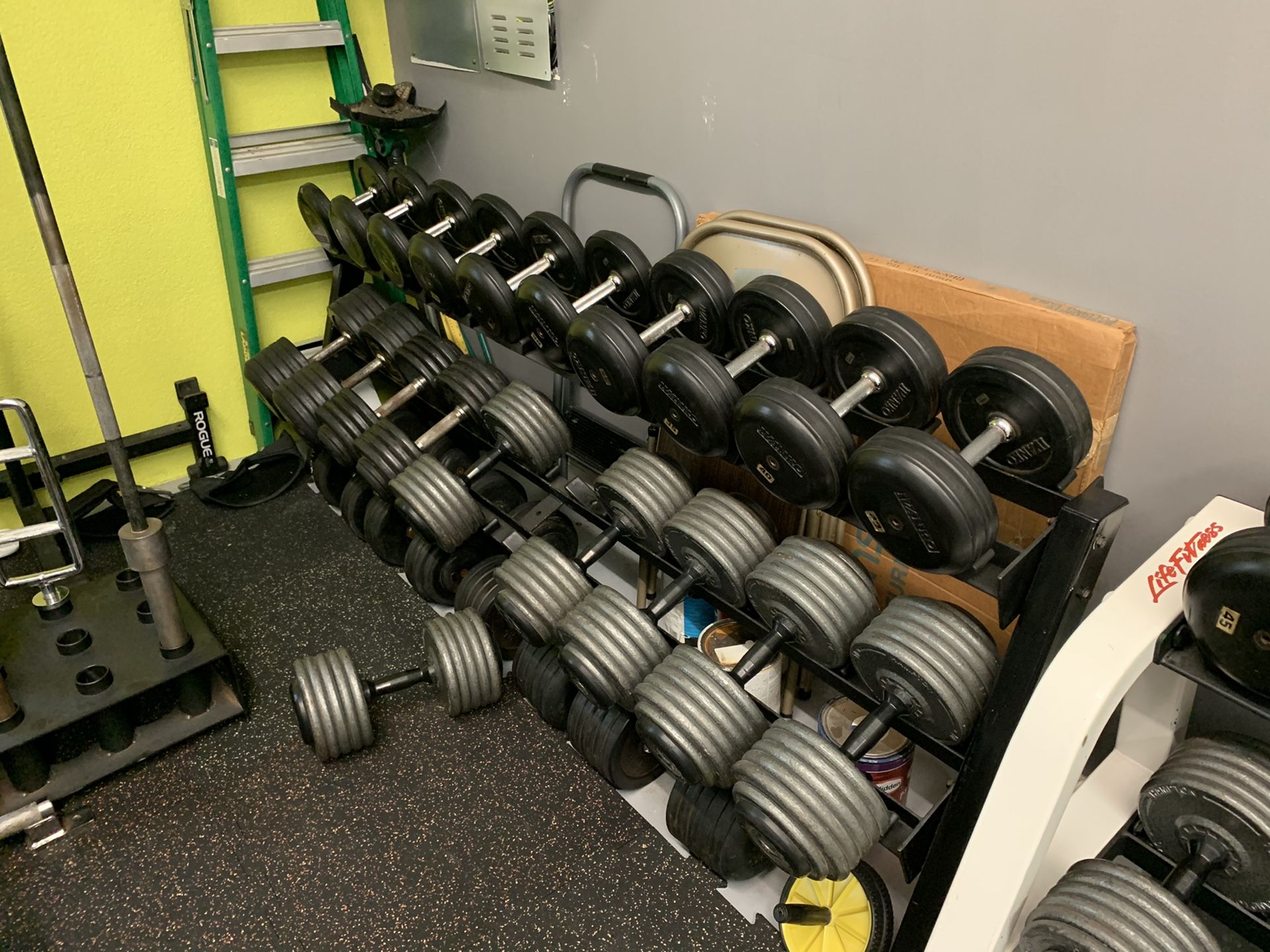 Cybex Dumbbell Rack for Sale in Jupiter, FL - OfferUp