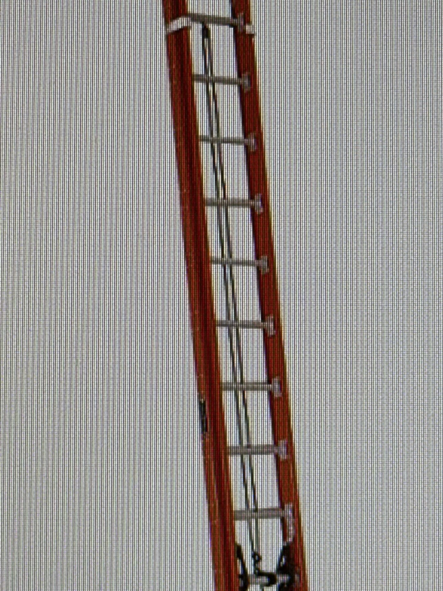 Extension Ladder for Sale in Federal Way, WA - OfferUp