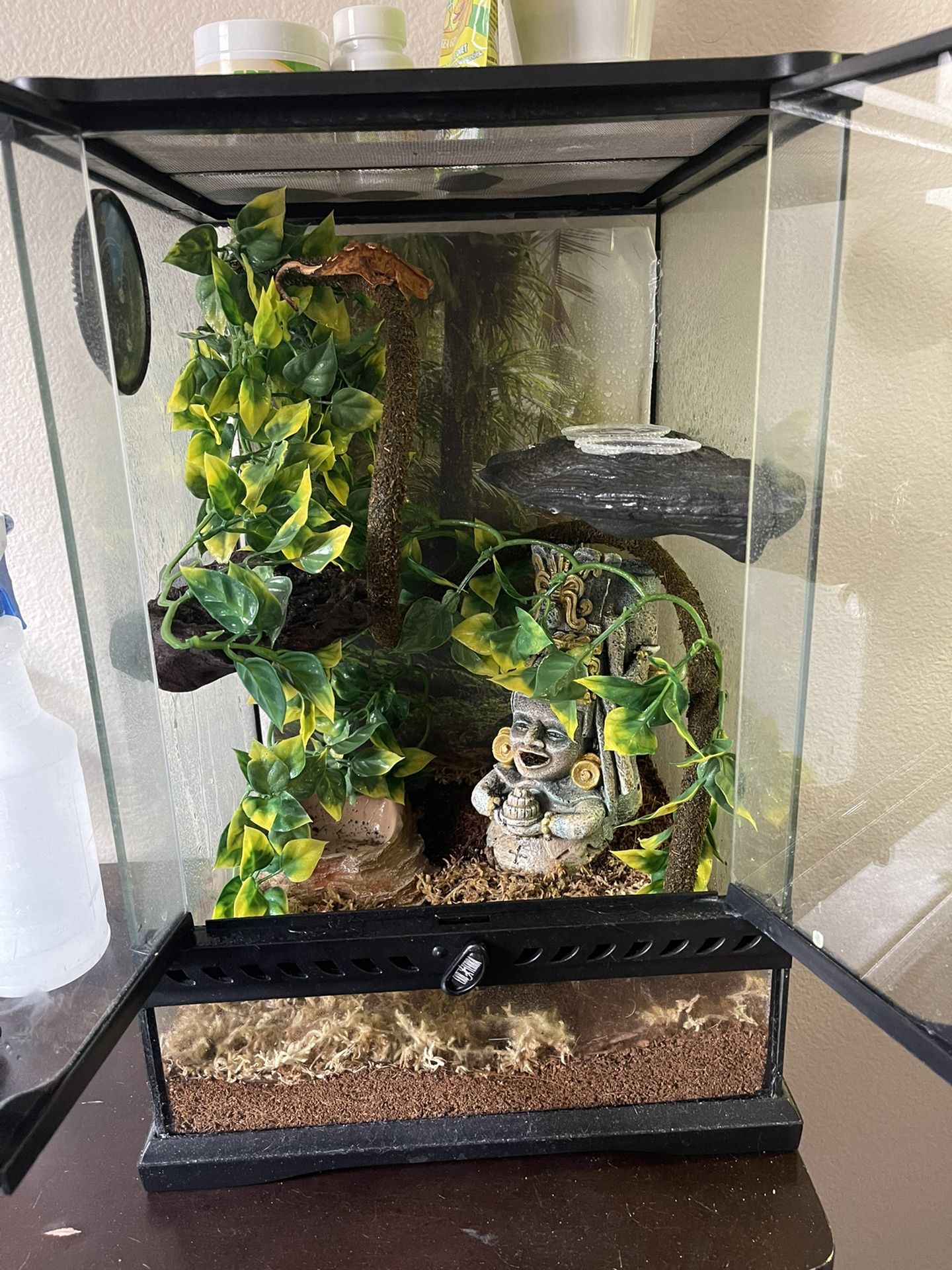 Finally Set Up My First Bioactive Enclosure For My First, 57% OFF
