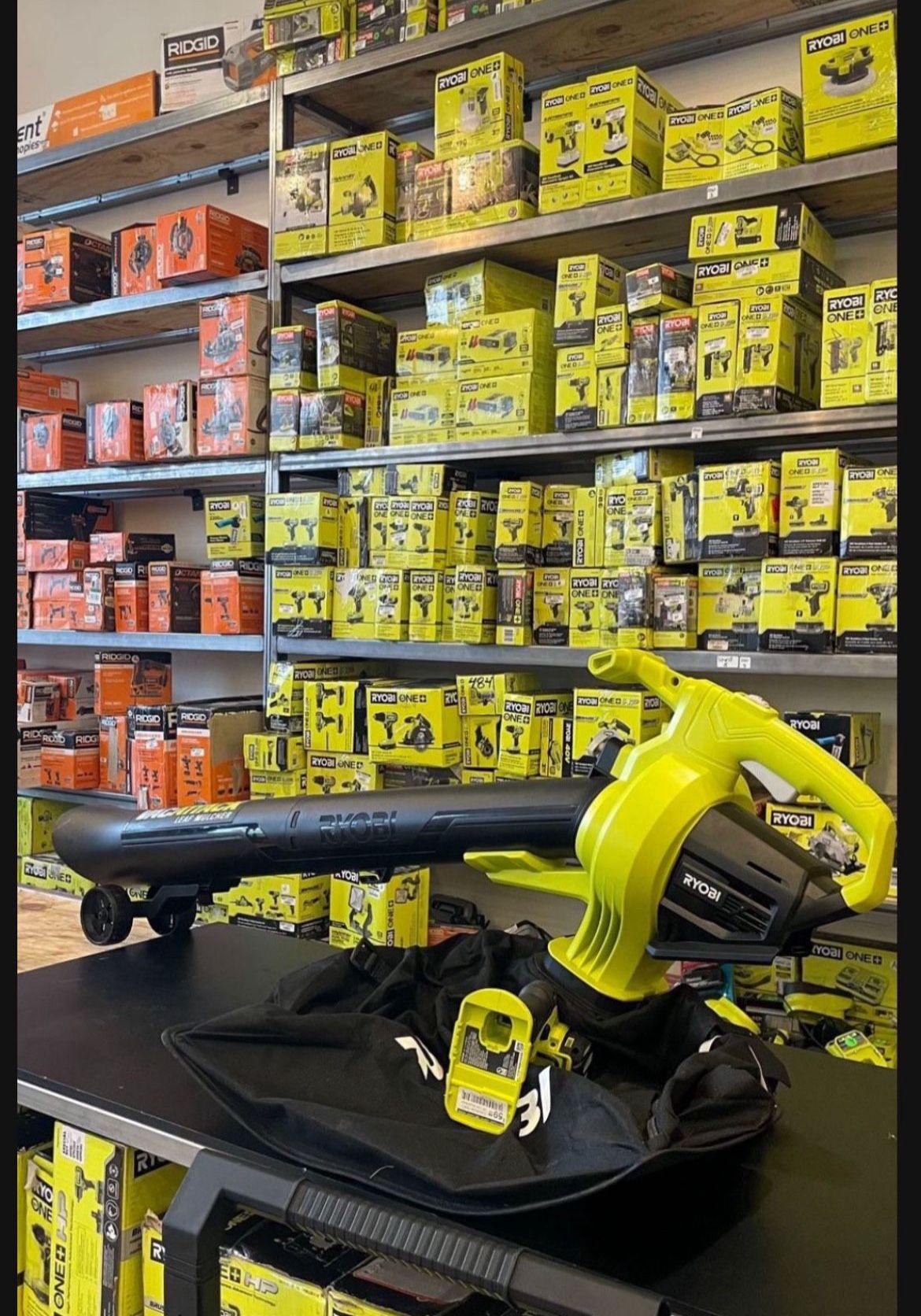 40V Vac Attack Cordless Battery Leaf Vacuum/Mulcher (Tool Only ...