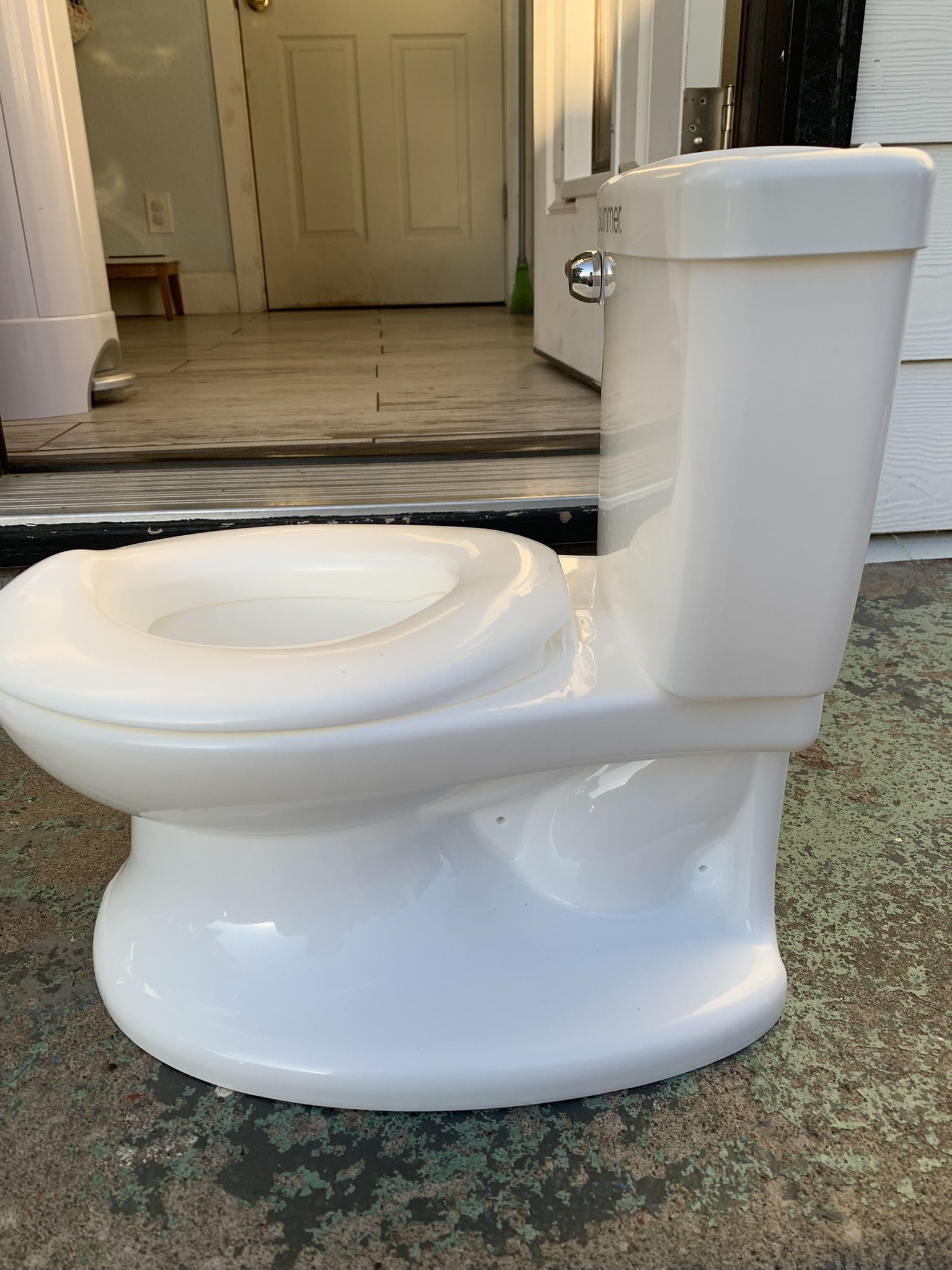 Mini Flush Toilet