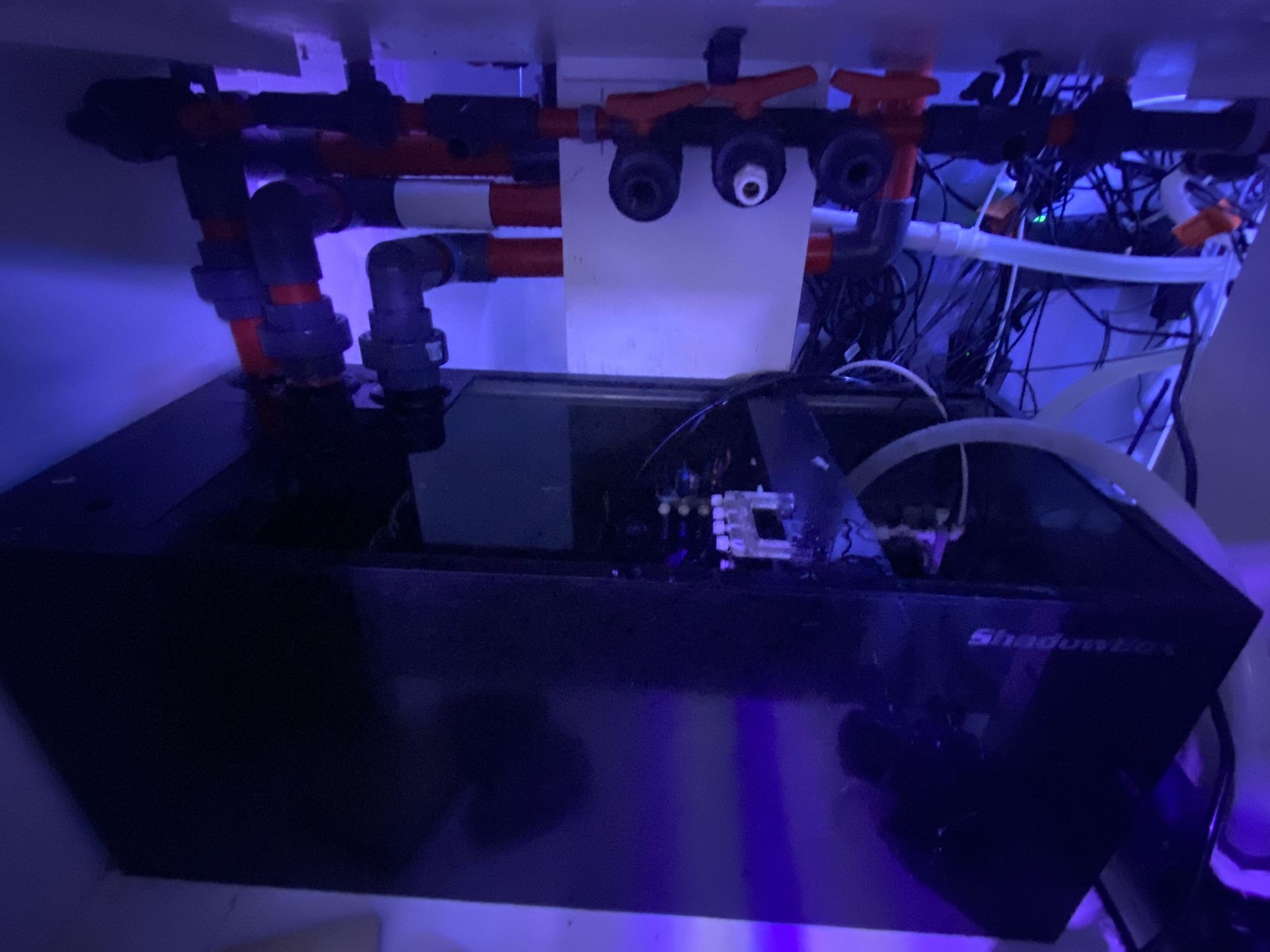 Reef Savvy- 48x24x30 - Great Size High End Reef Tank Aquarium for Sale ...