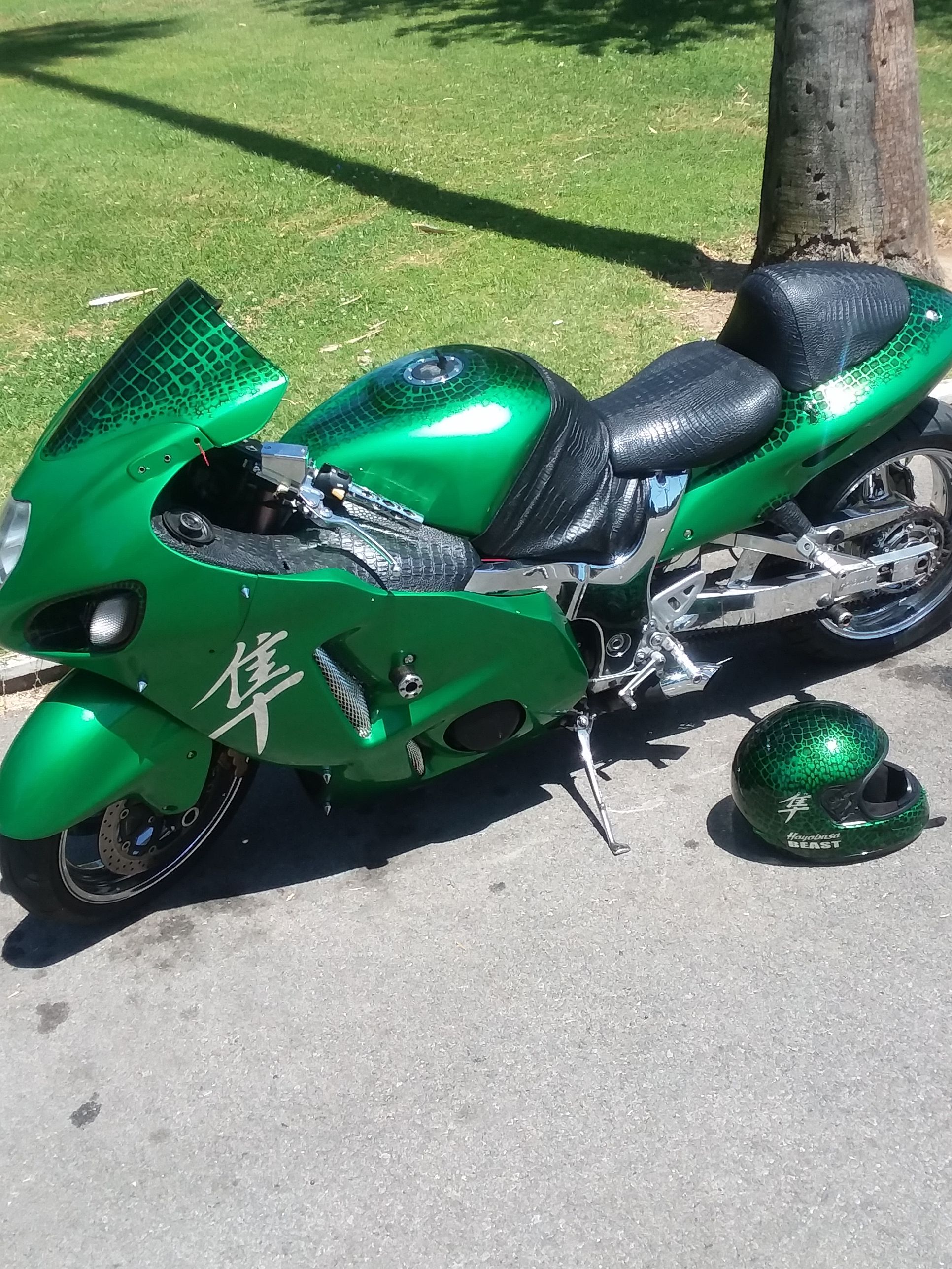 Pink And Green Custom Hayabusa