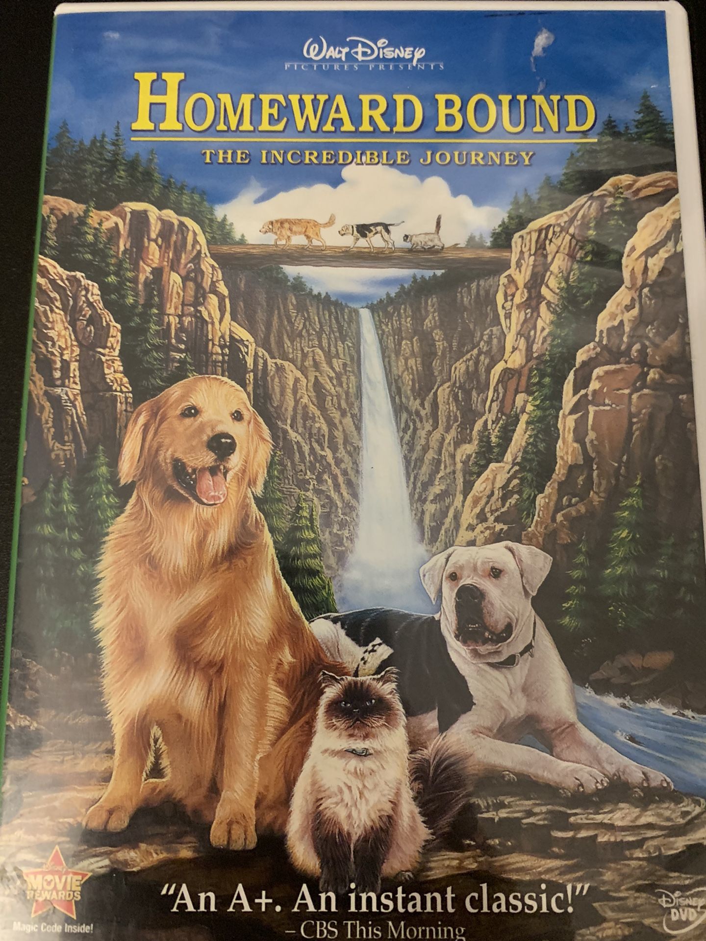 Disney’s HOMEWARD BOUND: The Incredible Journey (DVD) for Sale in ...