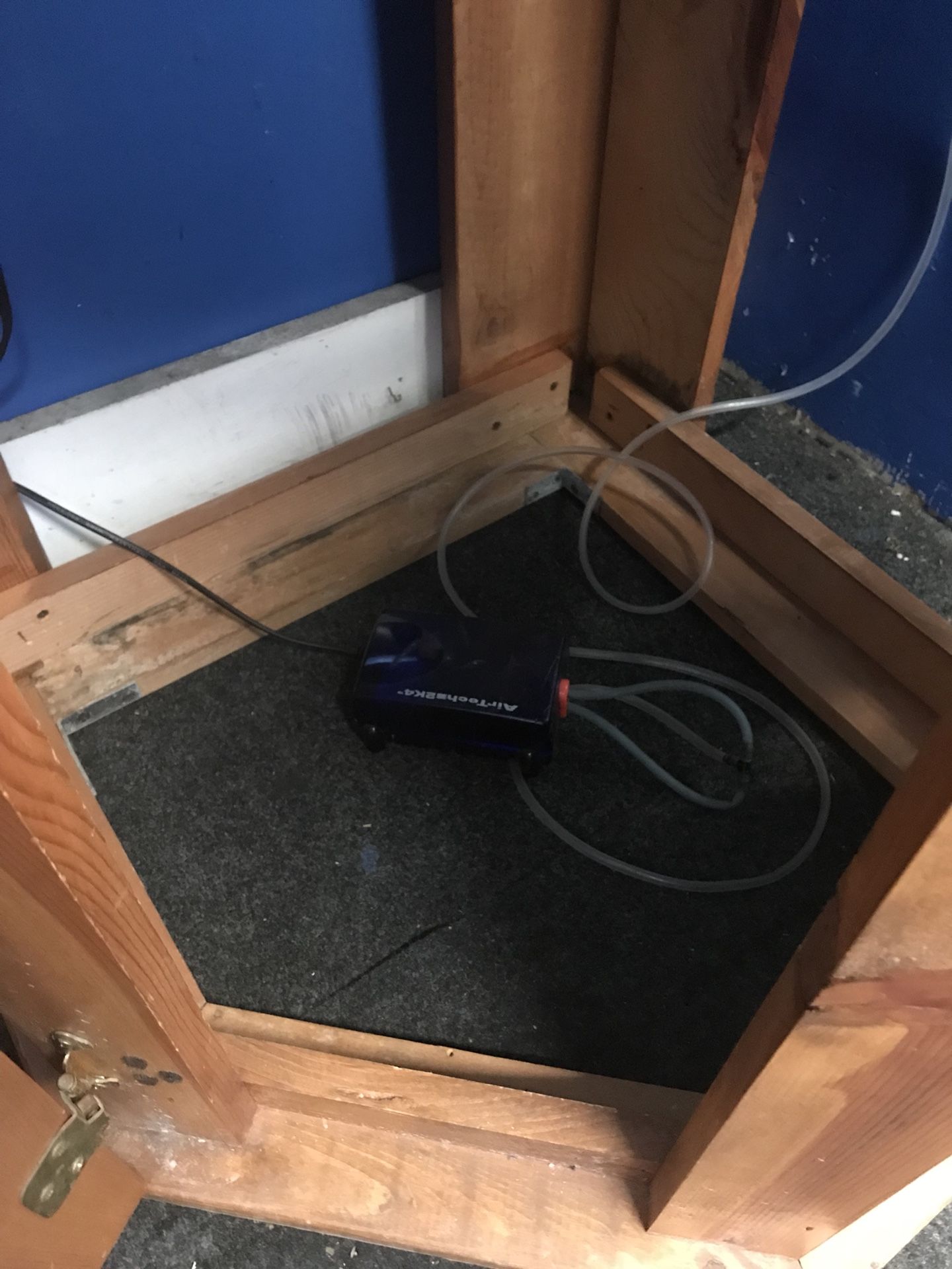 44 gallon corner Pentagon Aquarium fish tank complete $300 for Sale in ...