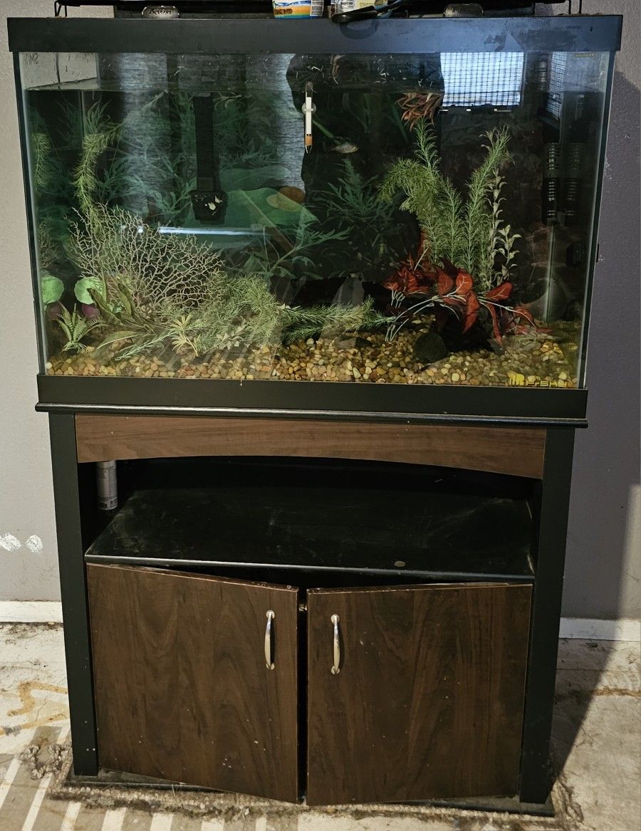65 gallon Fish Tank & Stand for Sale in Pumpkin Center, CA - OfferUp