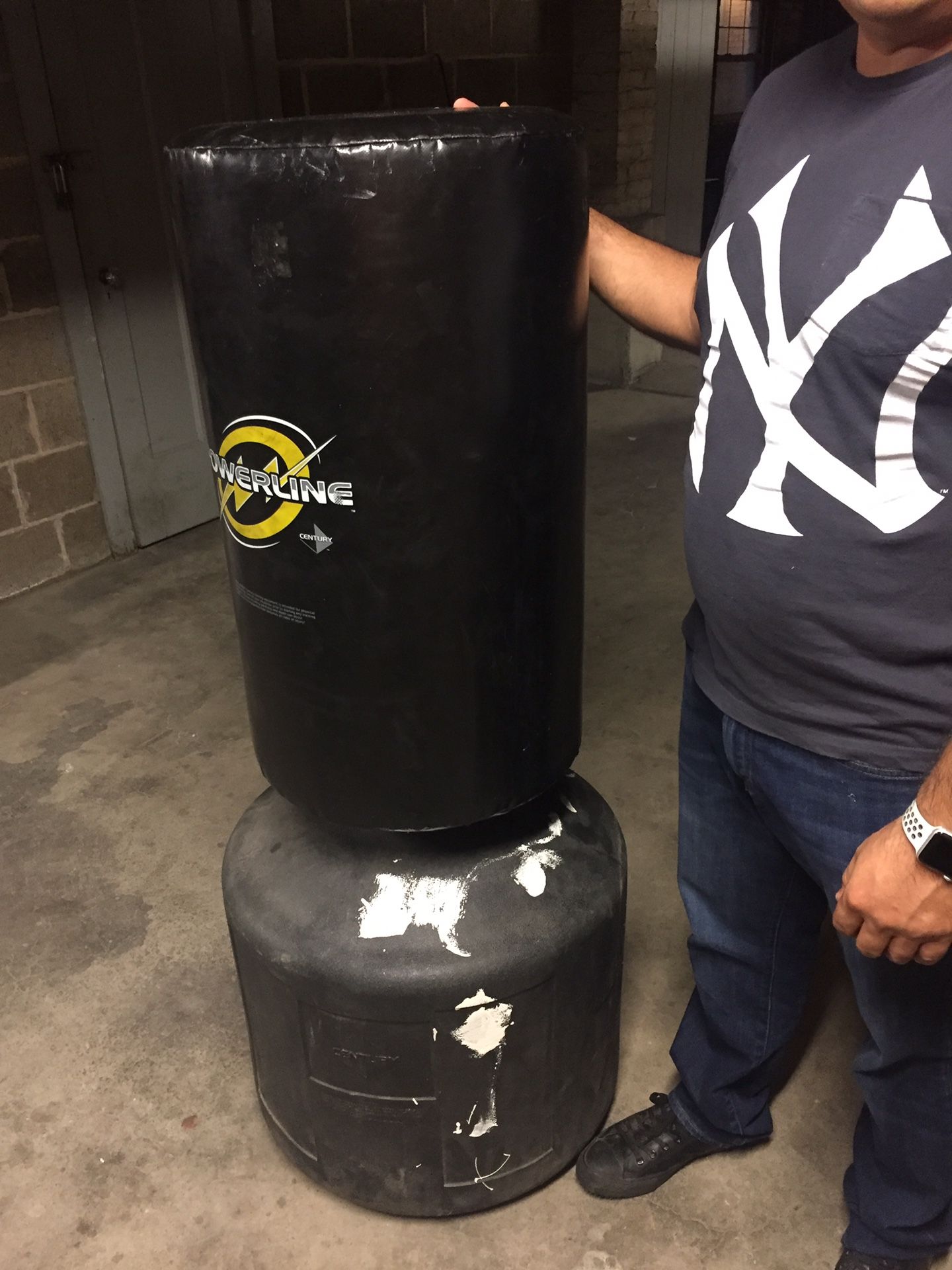 Powerline punching bag $50 for Sale in Evanston, IL - OfferUp