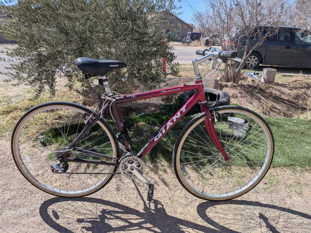 Giant Innova Hybrid Bike – Chromoly Steel – Size Large (Ready to Ride ...