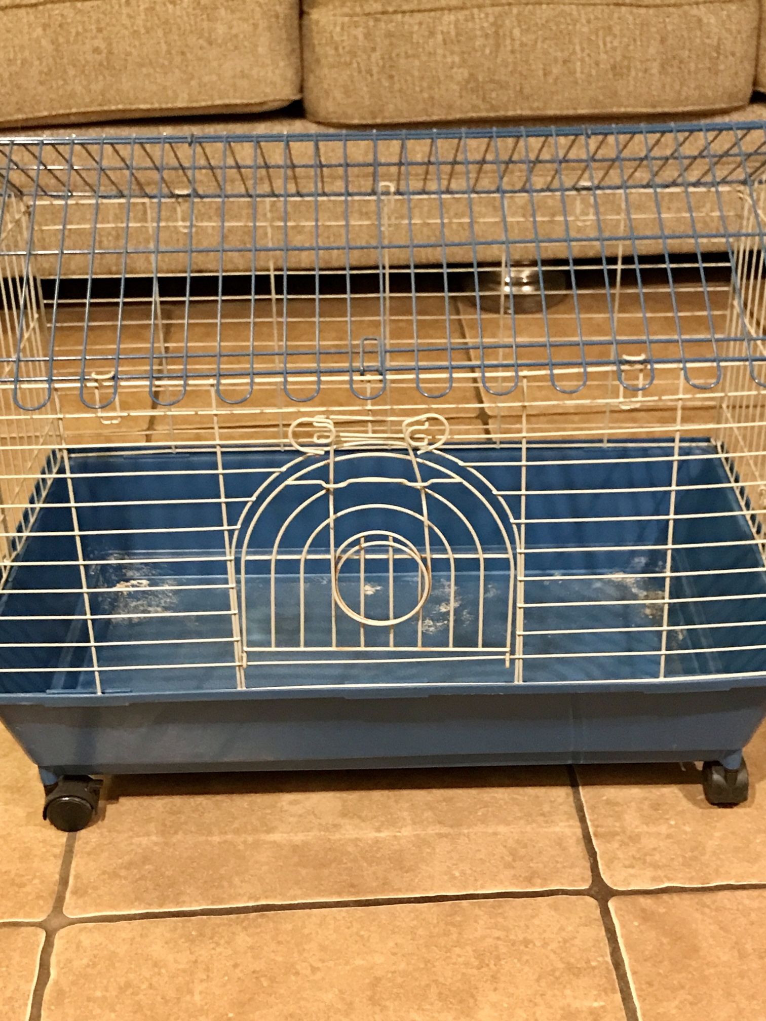 Hedgehog Glass Cage