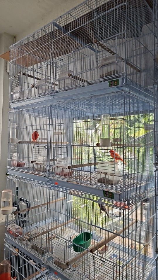 Triple Bird Breeding Cages and Flight Cages for Sale in Miami, FL - OfferUp