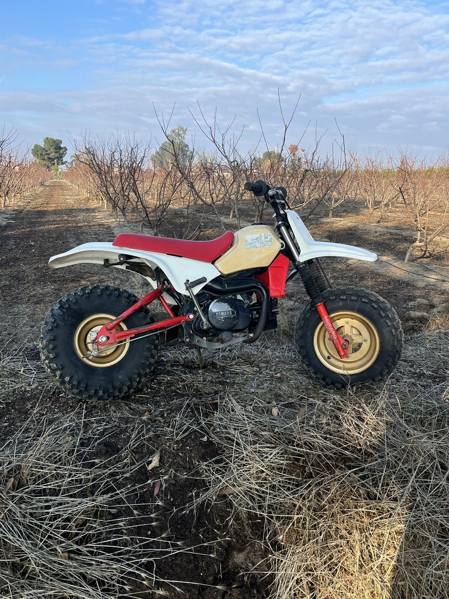 Yamaha Bw80 1986 for Sale in Selma, CA - OfferUp