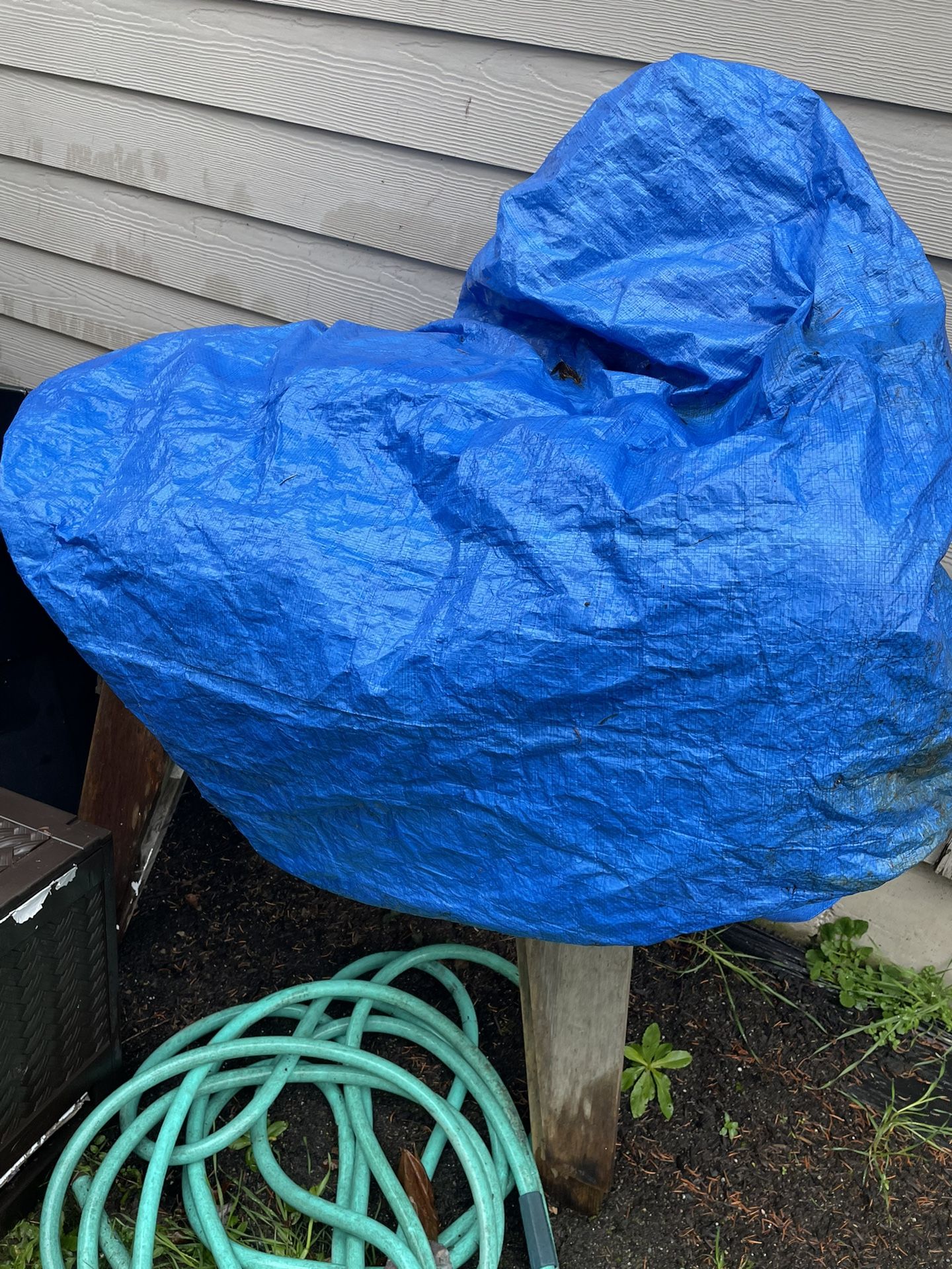 XXL TARP free for Sale in Tacoma, WA - OfferUp