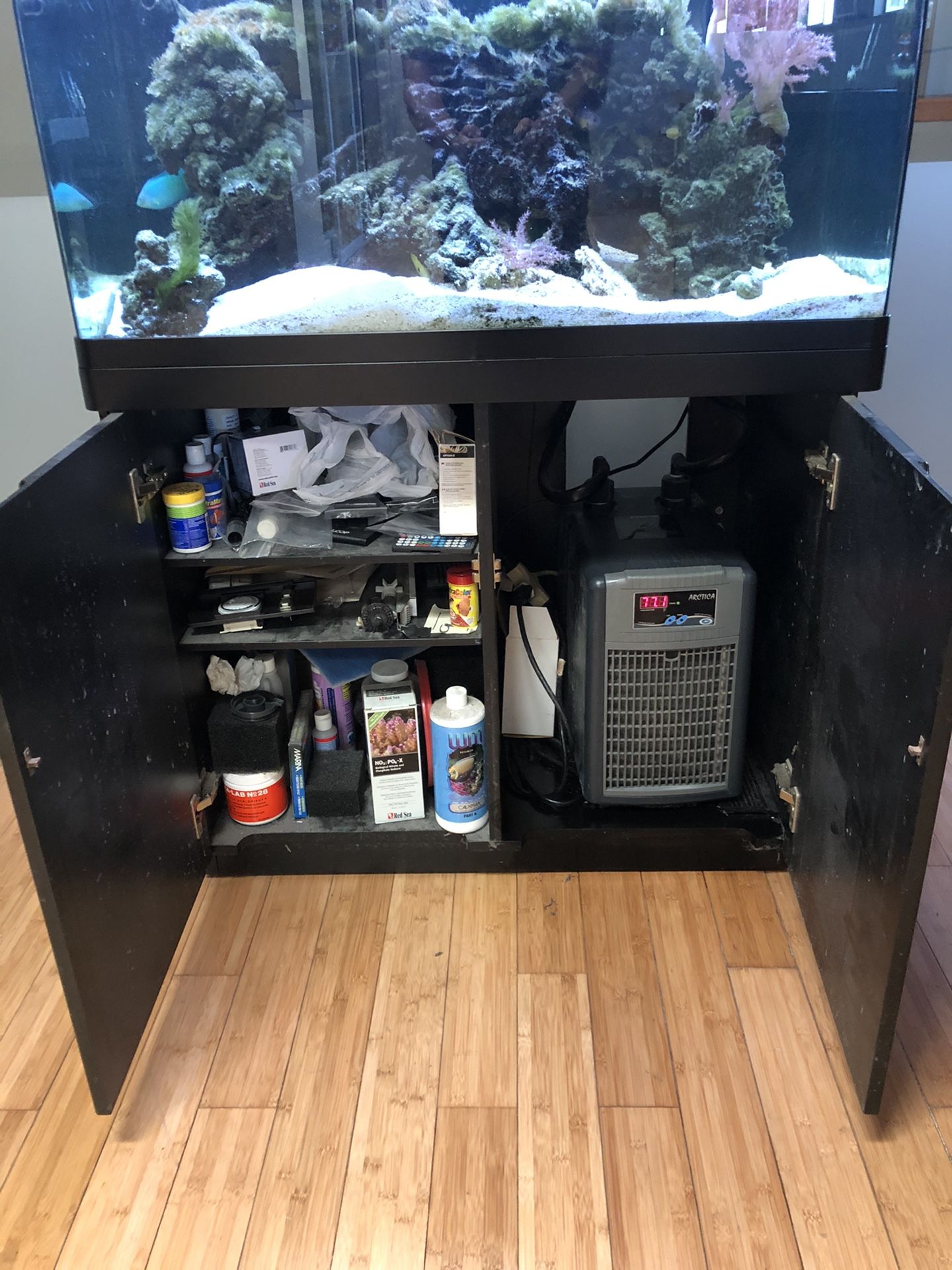 RED Sea Max 250, 66gal Reef Aquarium with Live Fiji Rock, LED lighting ...