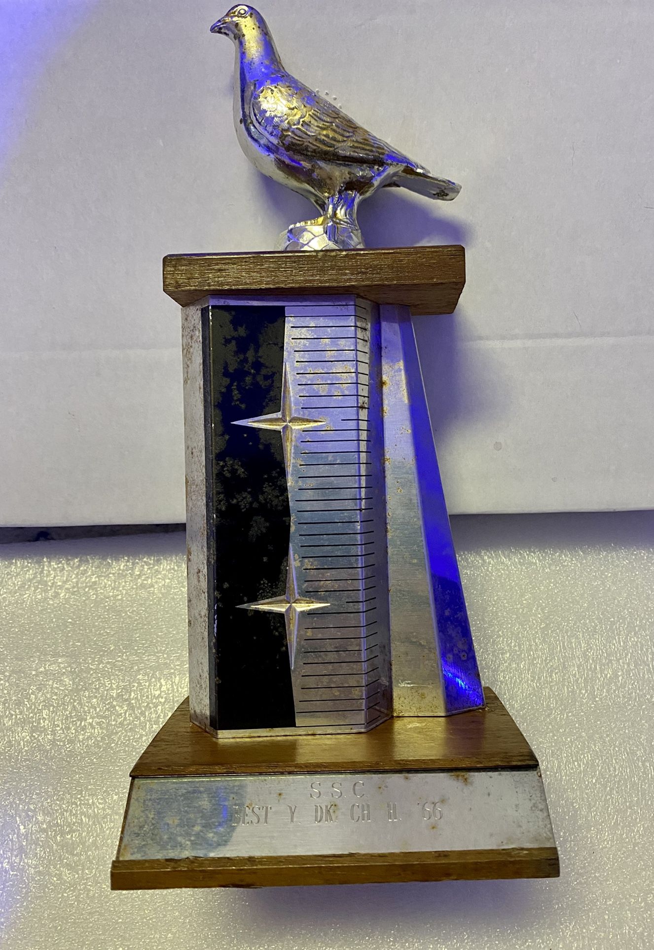 Blue Falcon Award Trophy
