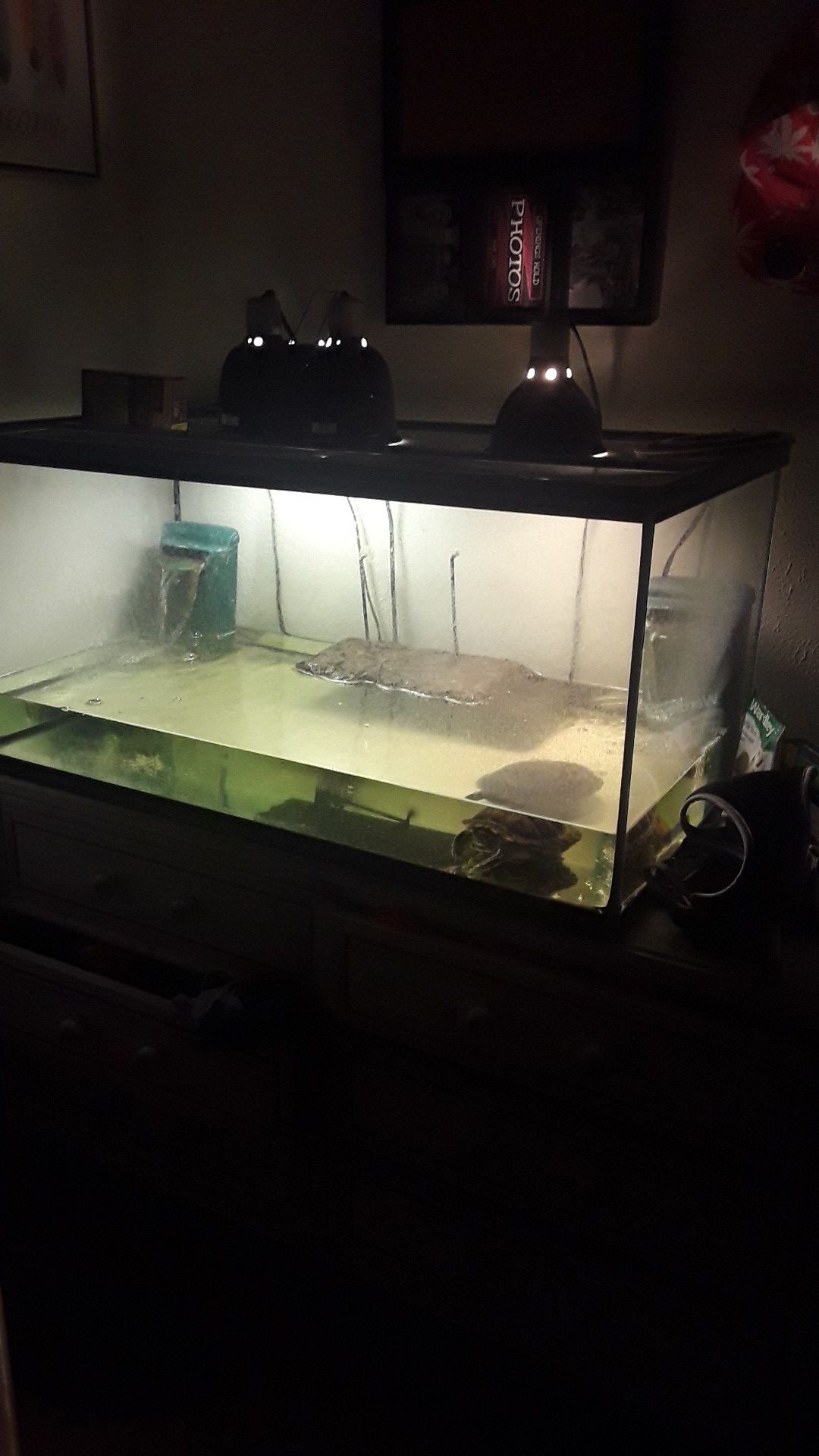 FREE!!! 50 gallon turtle tank, FREE!! for Sale in Lewisville, TX - OfferUp