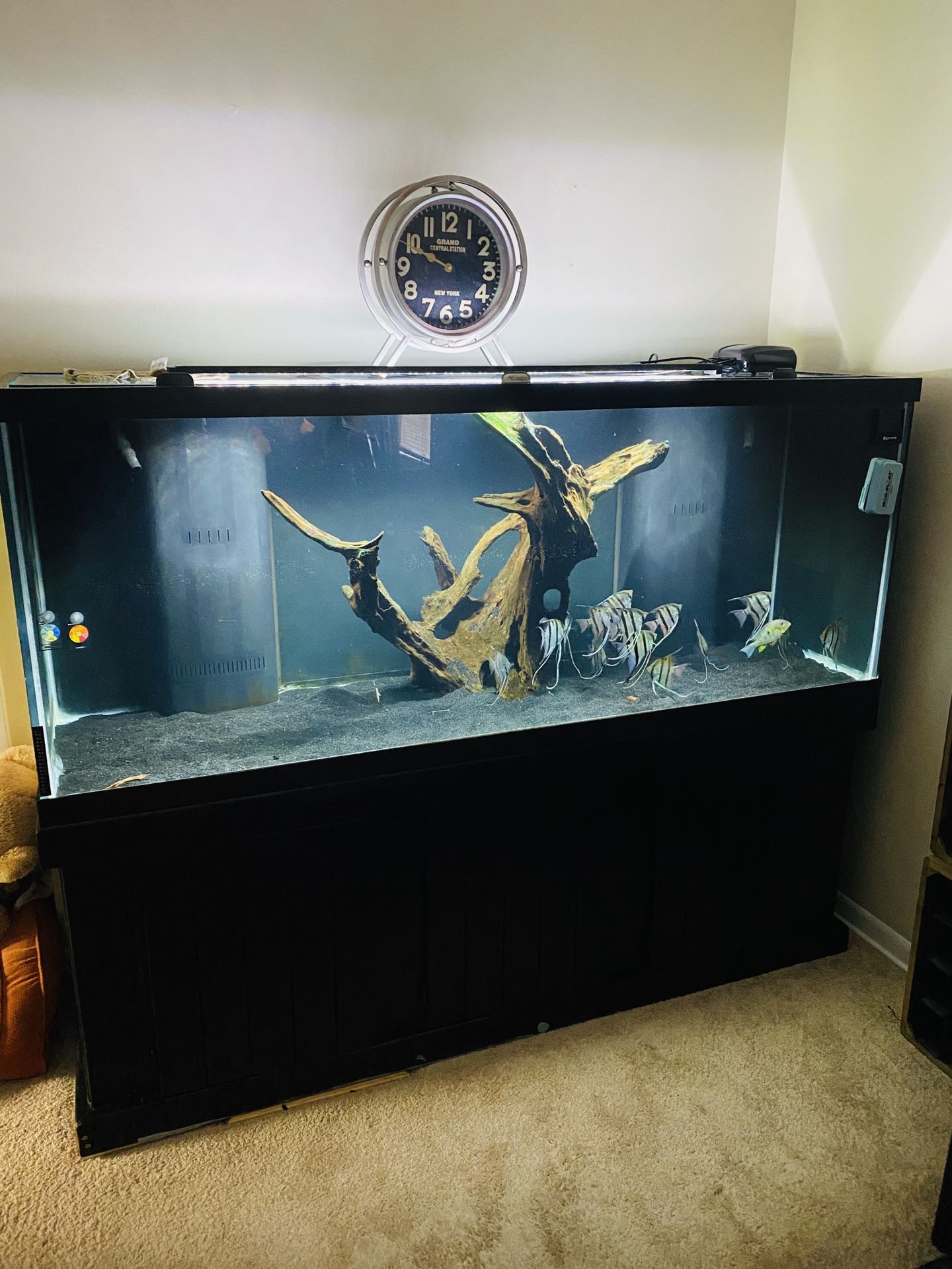 210 gallon fish tank and 75 gallon setup for Sale in Elmhurst, IL - OfferUp