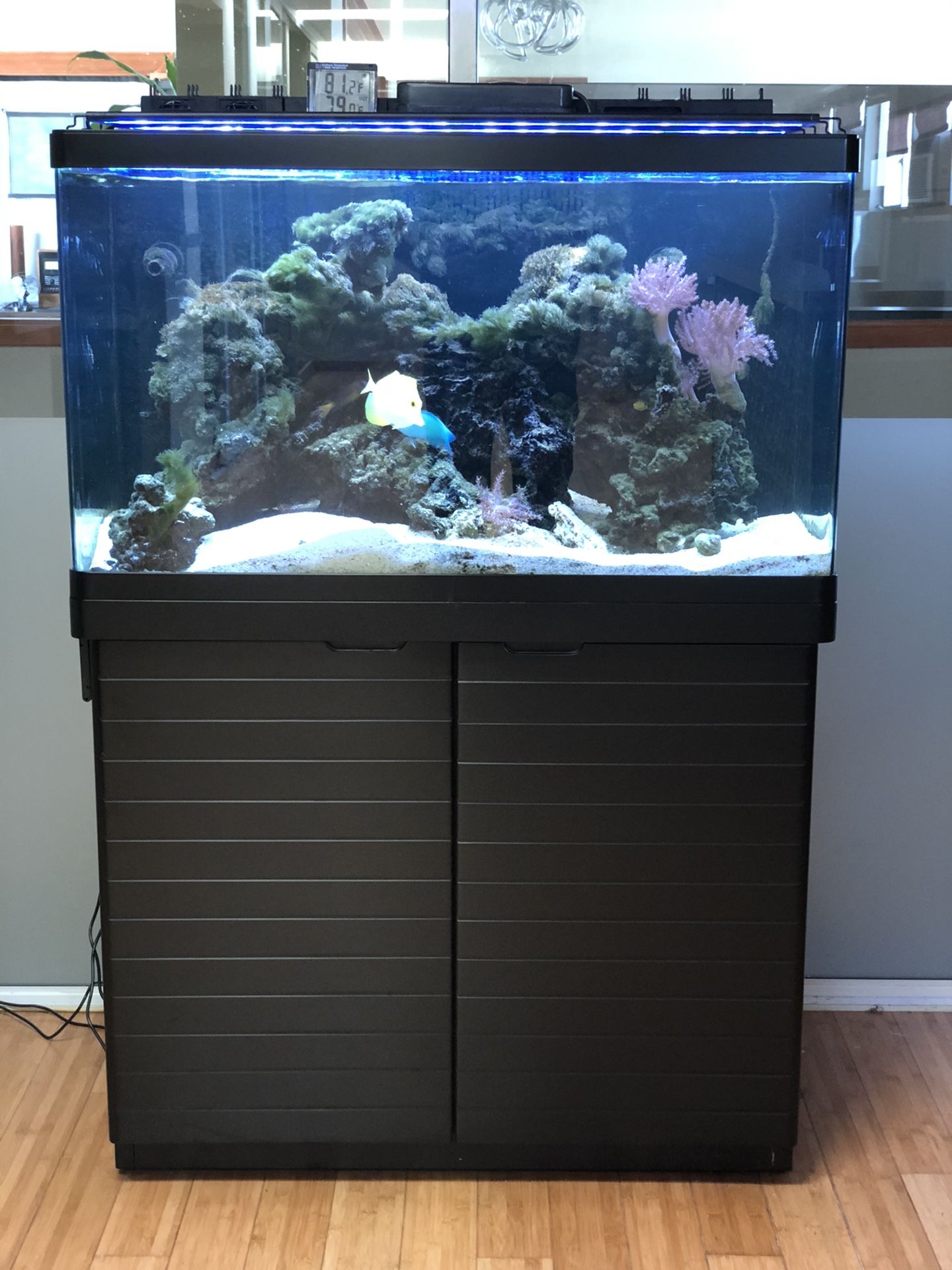 RED Sea Max 250, 66gal Reef Aquarium with Live Fiji Rock, LED lighting ...
