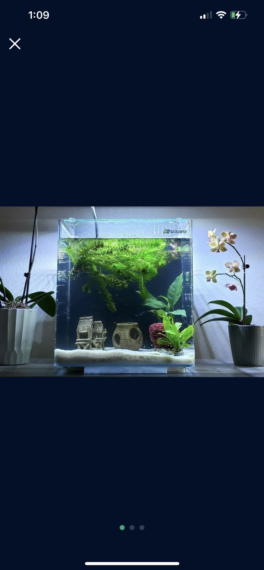 Aquarium Nano Q-Series Fish Tank (Aqua Japan) for Sale in Irvine, CA ...