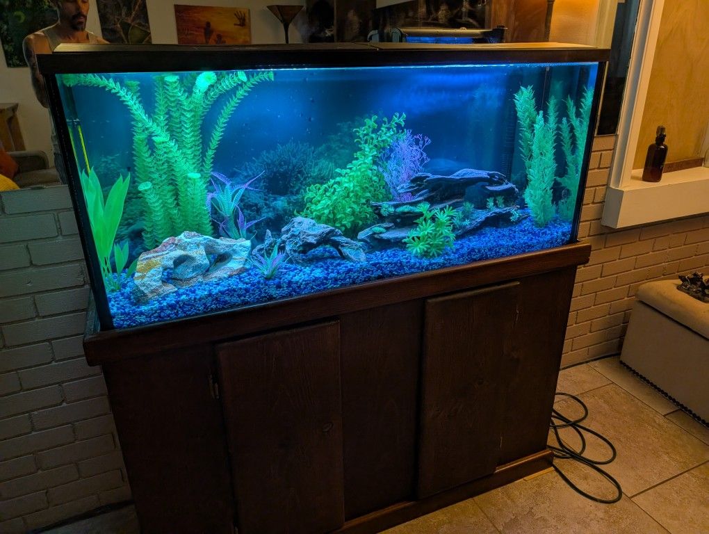 55 Gal. Fish Tank and Stand for Sale in Haltom City, TX - OfferUp