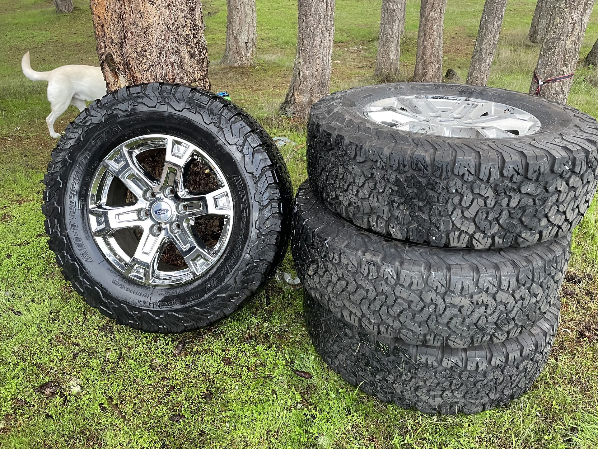 BF Goodrich Ko2 All Terrain Tires With Factory 2021 F150 Wheels for Sale in Graham, WA - OfferUp