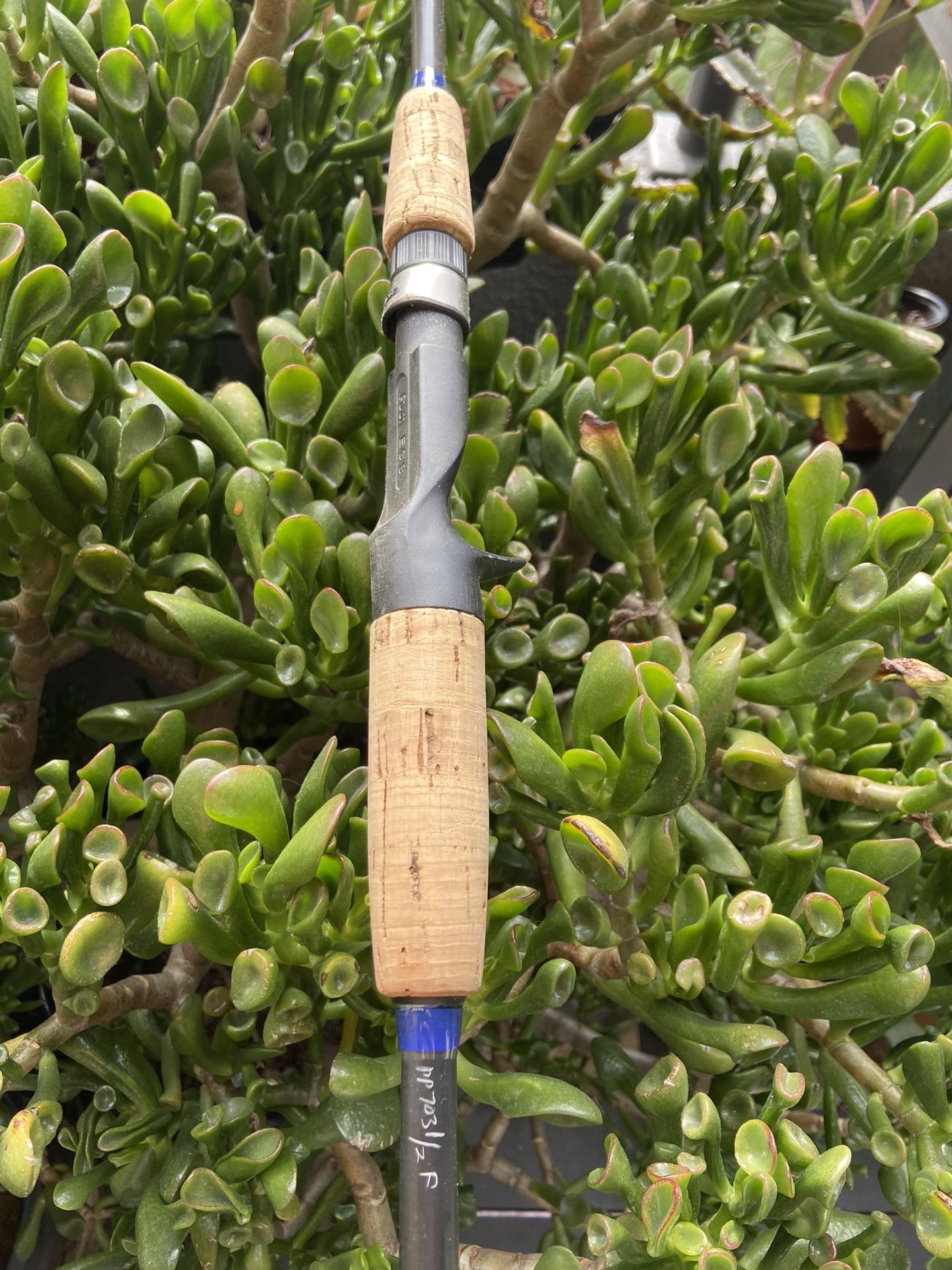 Phenix Bass Rod for Sale in Costa Mesa, CA - OfferUp