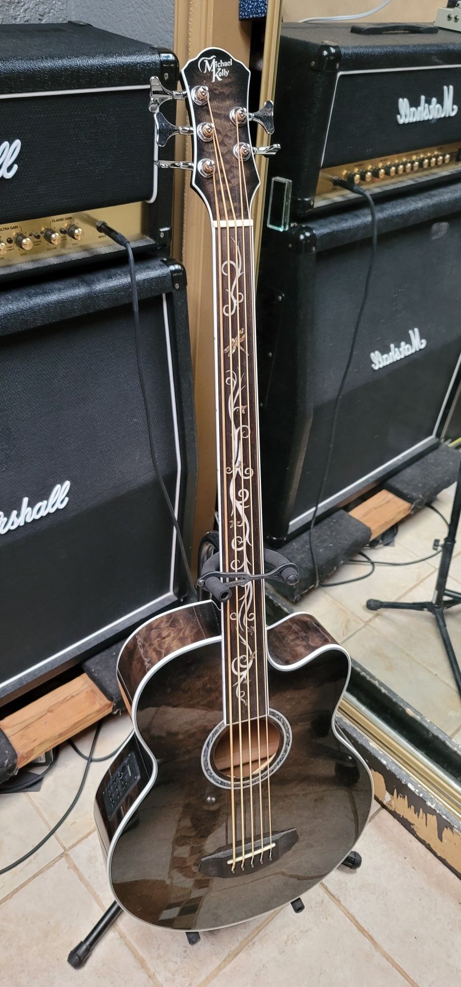 Michael Kelly Dragonfly Fretless 5-String Acoustic Electric Bass for ...