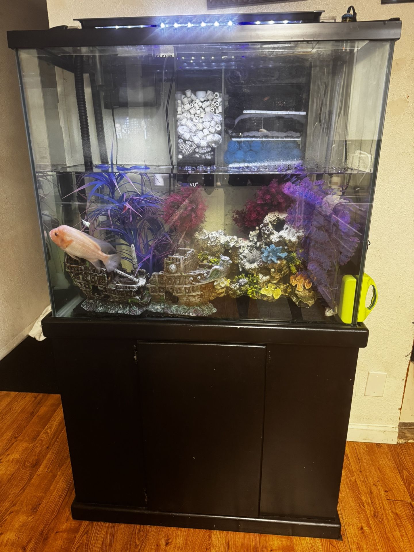 70 Gallon Fish Tank Aquarium With Stand for Sale in Chino, CA - OfferUp