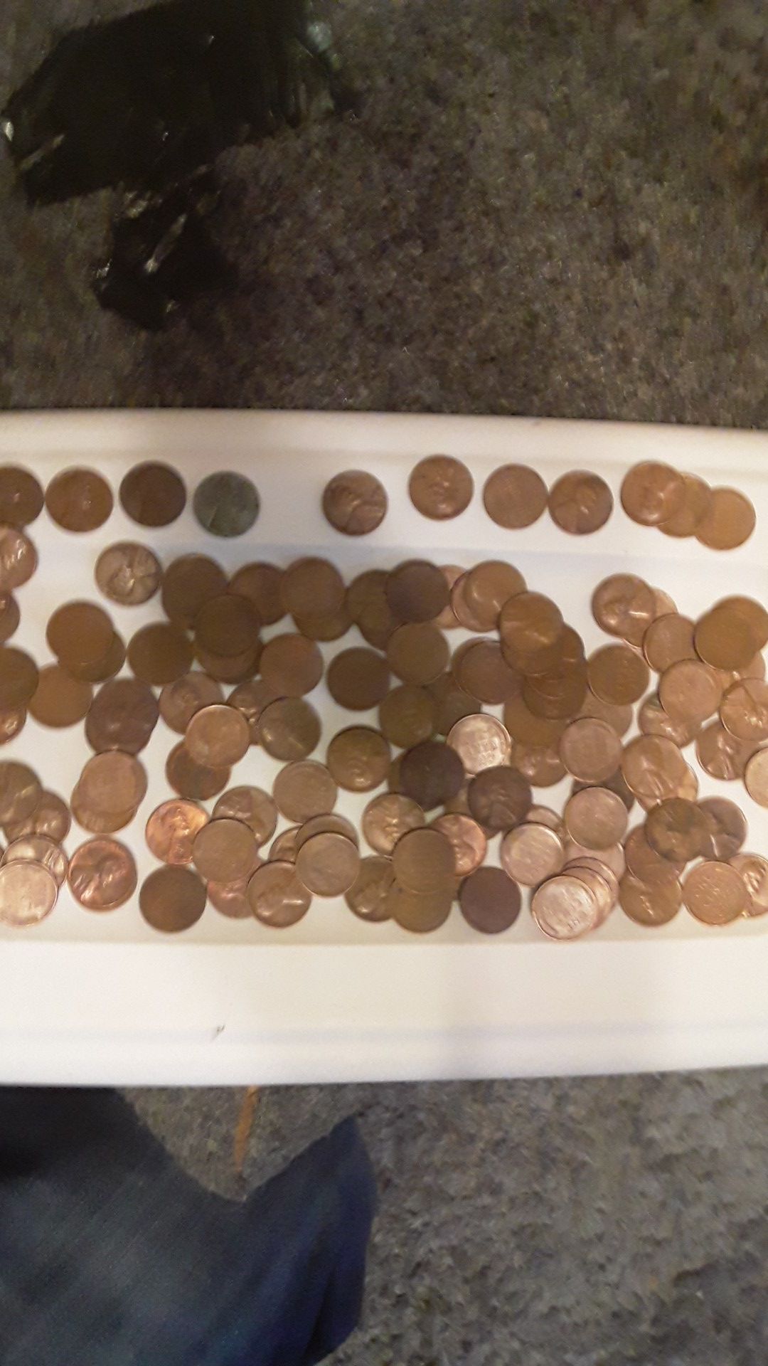 Complete 1940-1959 wheat penny collection with doubles and triples for ...