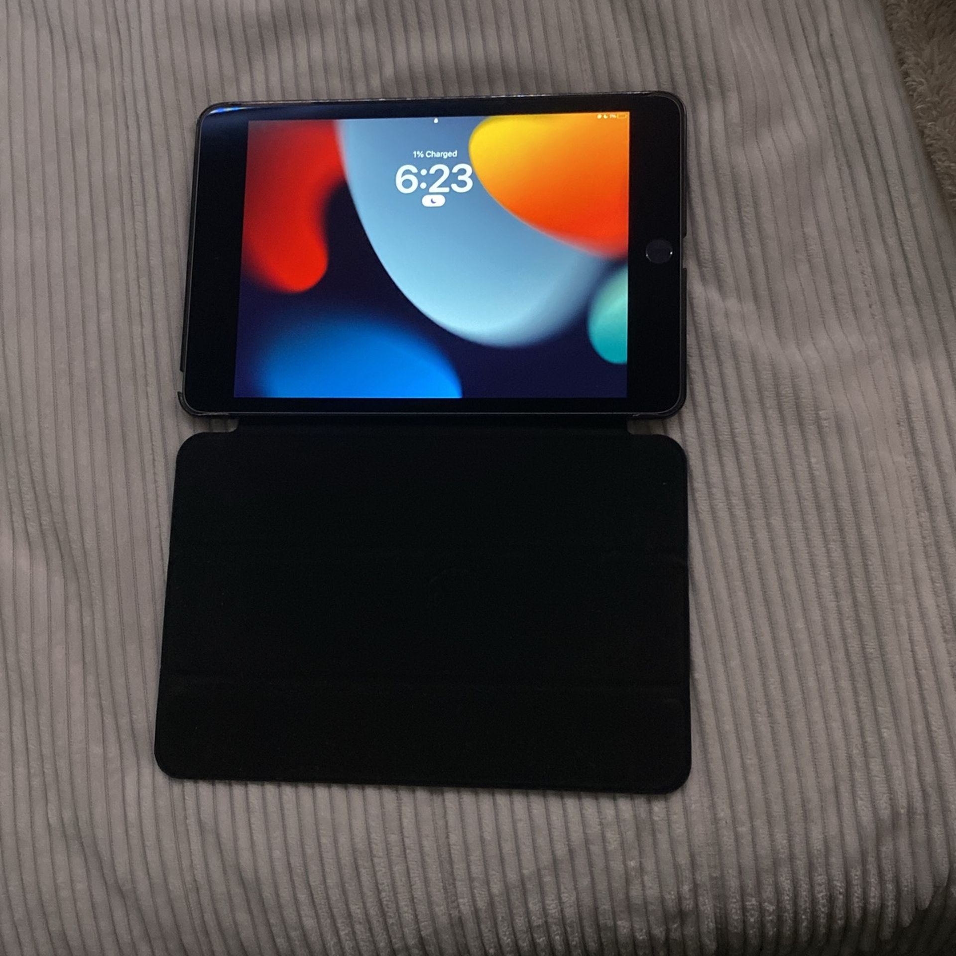 iPad Mini Gen 5 (256 GB) with case