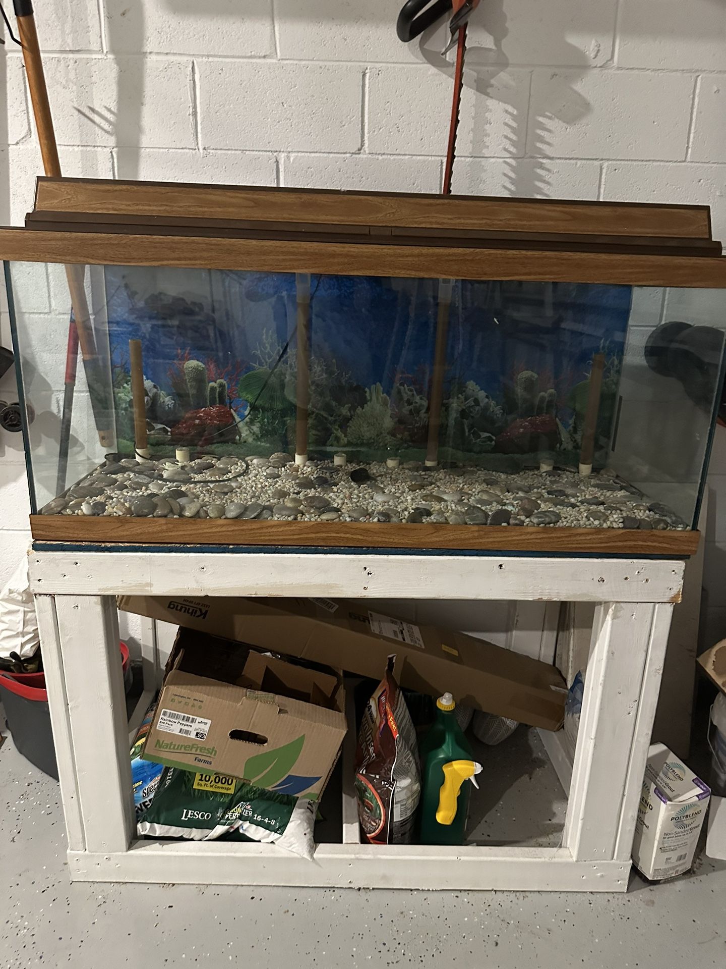 10000 Gallon Fish Tank