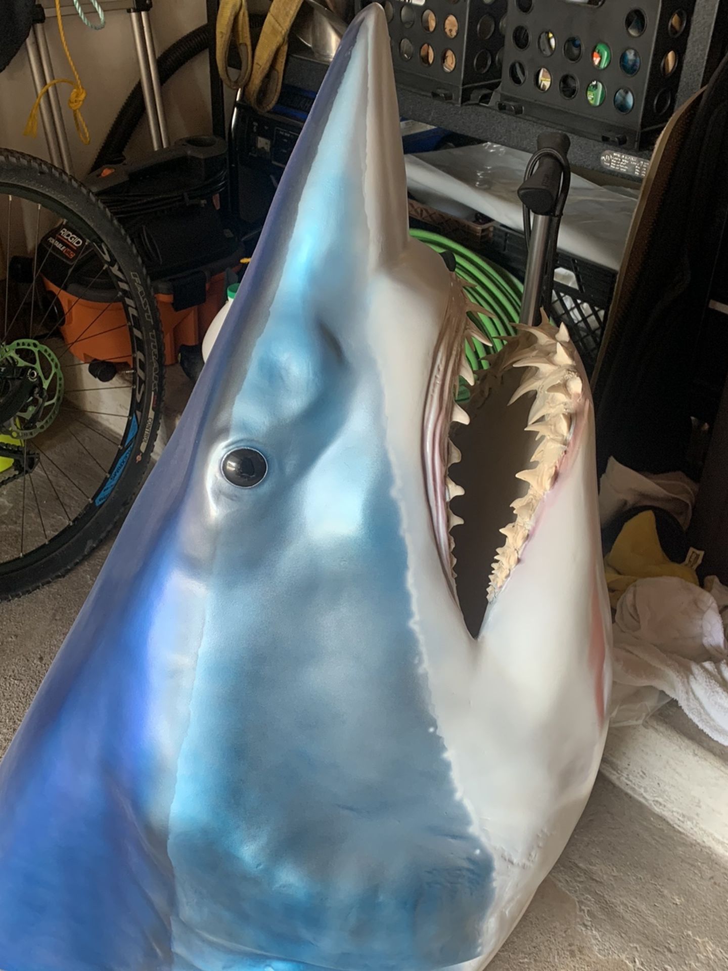 Mako Shark Mount for Sale in Miami, FL - OfferUp