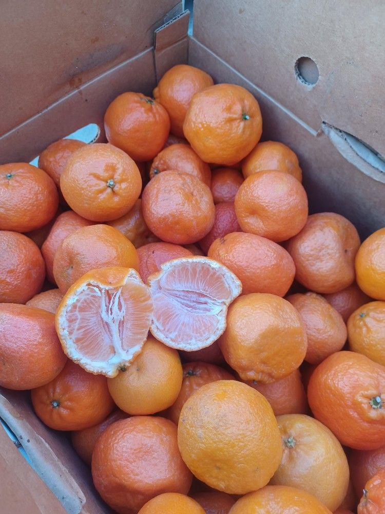 Oranges Lemons for Sale in Bakersfield, CA - OfferUp