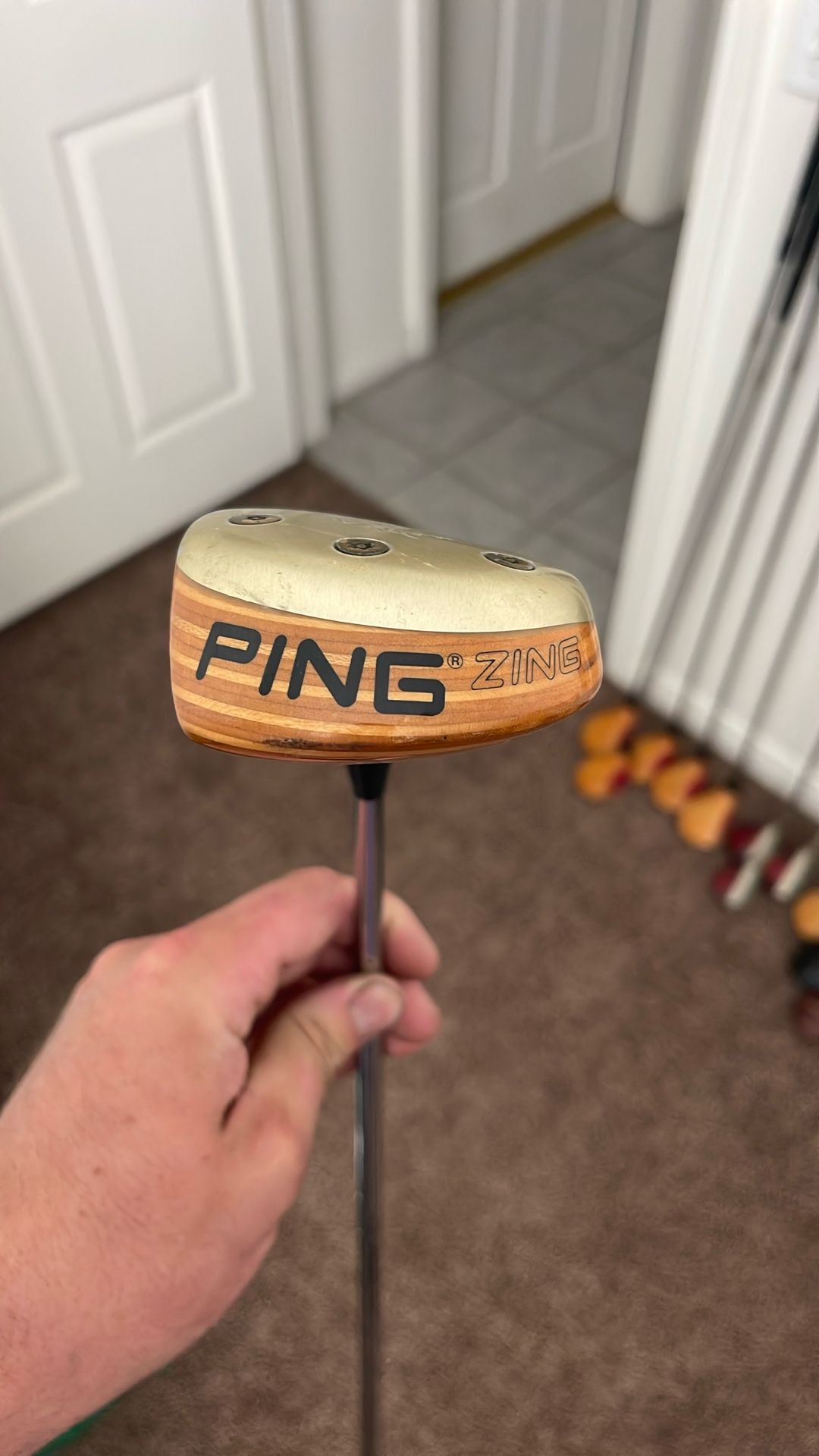 Ping Zing Hybrids for Sale in Bakersfield, CA - OfferUp
