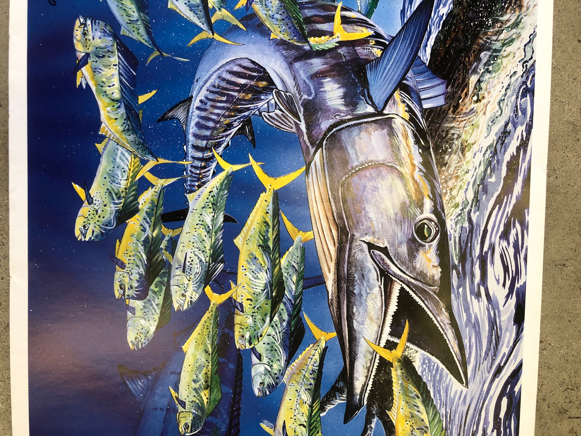 Chuck Byron fighting Lithograph “Predators” signed print w certificate ...