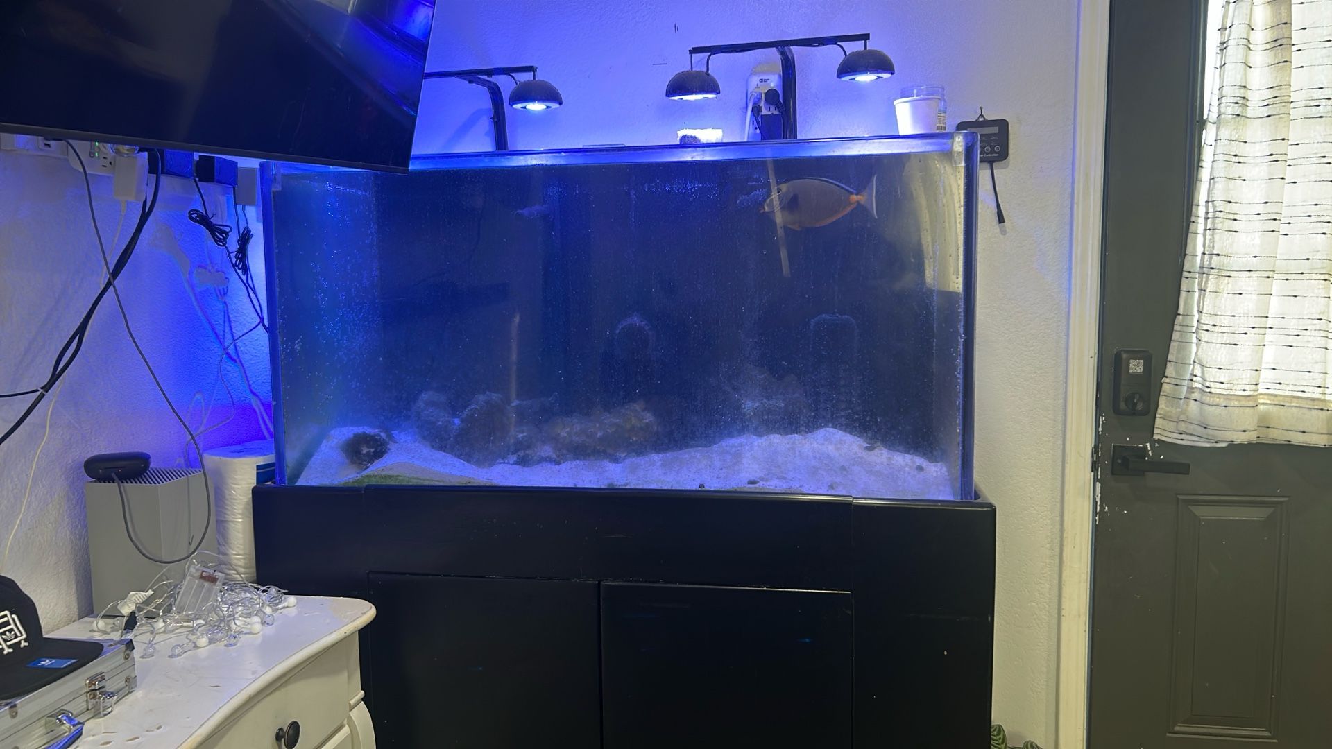 Tank (acrylic fishing tank) for Sale in Fullerton, CA - OfferUp