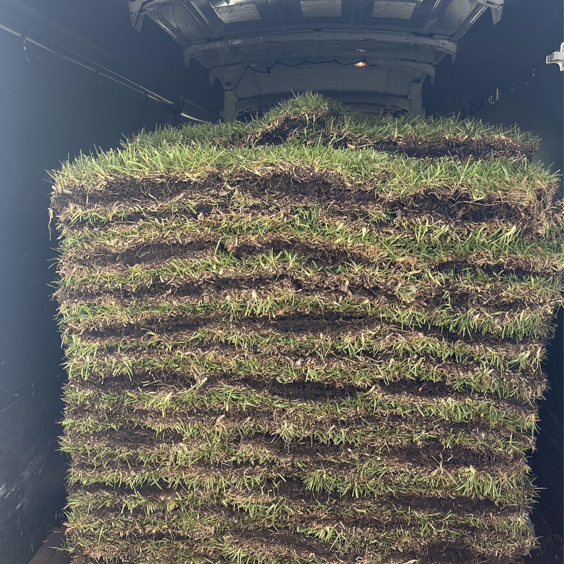 Fresh Sod for Sale in Hollywood, FL - OfferUp