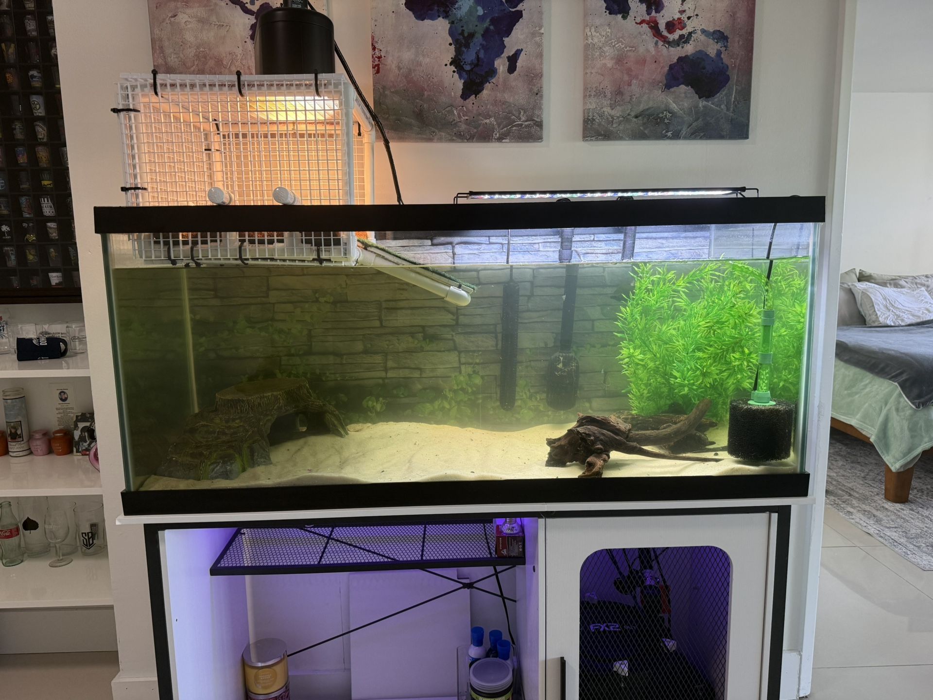 Tank Set Up For A Turtle for Sale in Pompano Beach, FL - OfferUp
