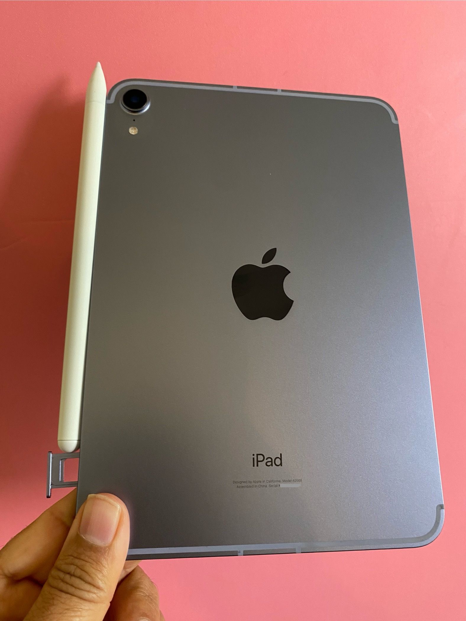 256GB Apple Ipad Mini 6th Generation (Latest Model 2021/ 8.3” Retina ...