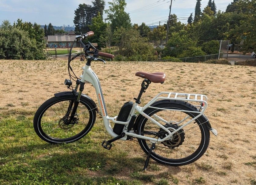 Rad City 3 Step Through Thru Ebike Electric Power Bike for Sale in ...