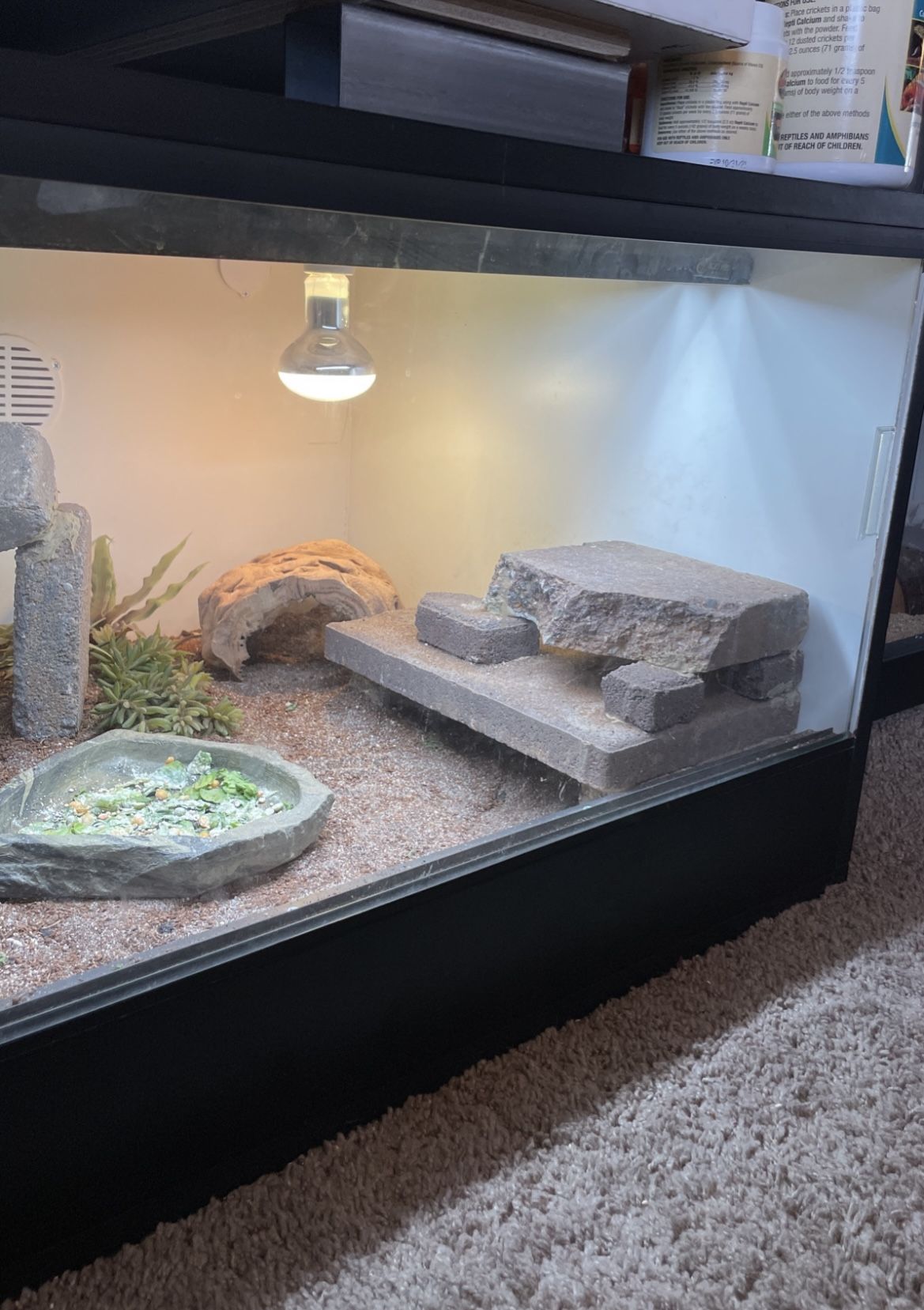 Complete Uromastyx Setup. Includes EVERYTHING for Sale in Peoria, AZ ...
