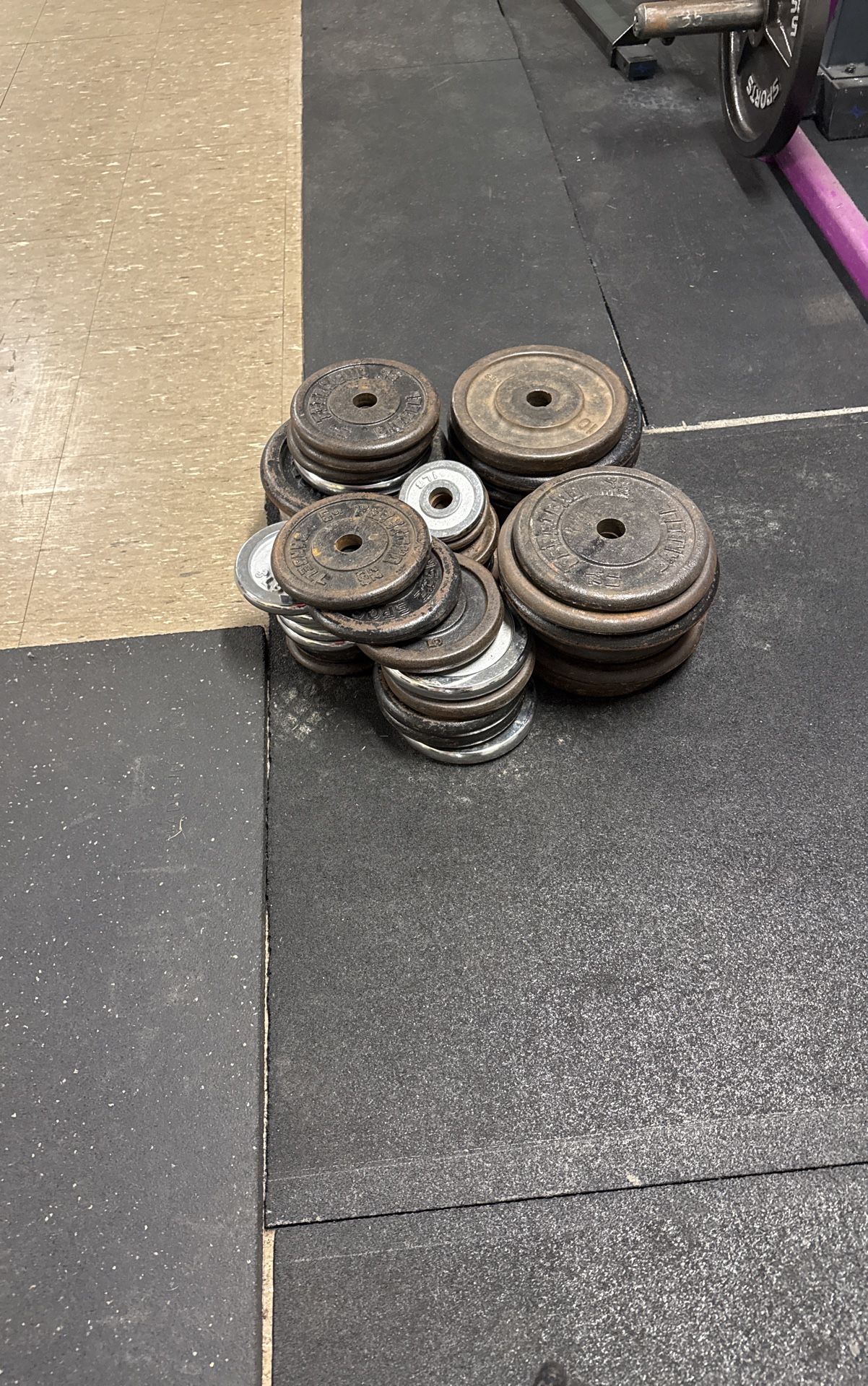 Leg Raise Machine + 352 Lbs Of Plates for Sale in Meriden, CT - OfferUp