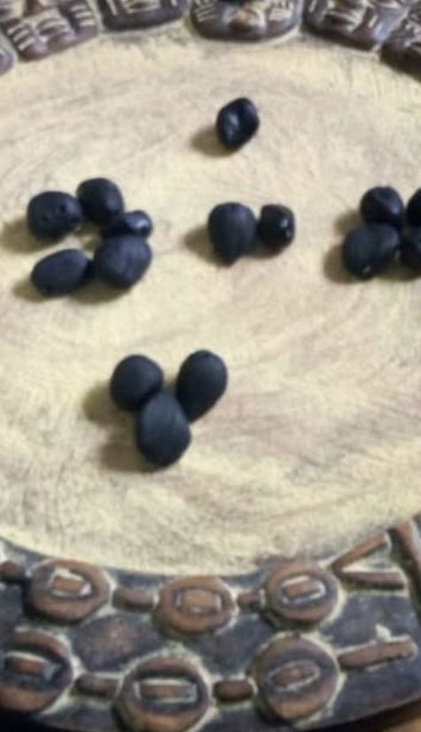 Osode con ifa/dafa/adivinación con ikin y opele carta consulta astral ...